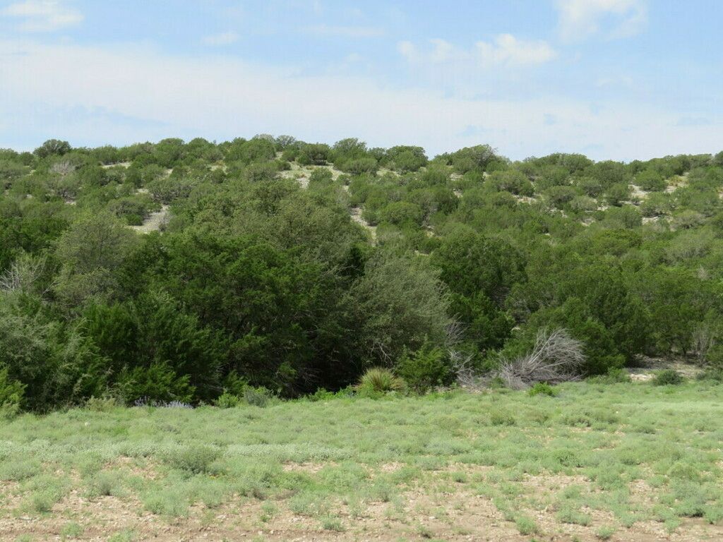 Unnamed Road, Rocksprings, TX 78880 | Land.com