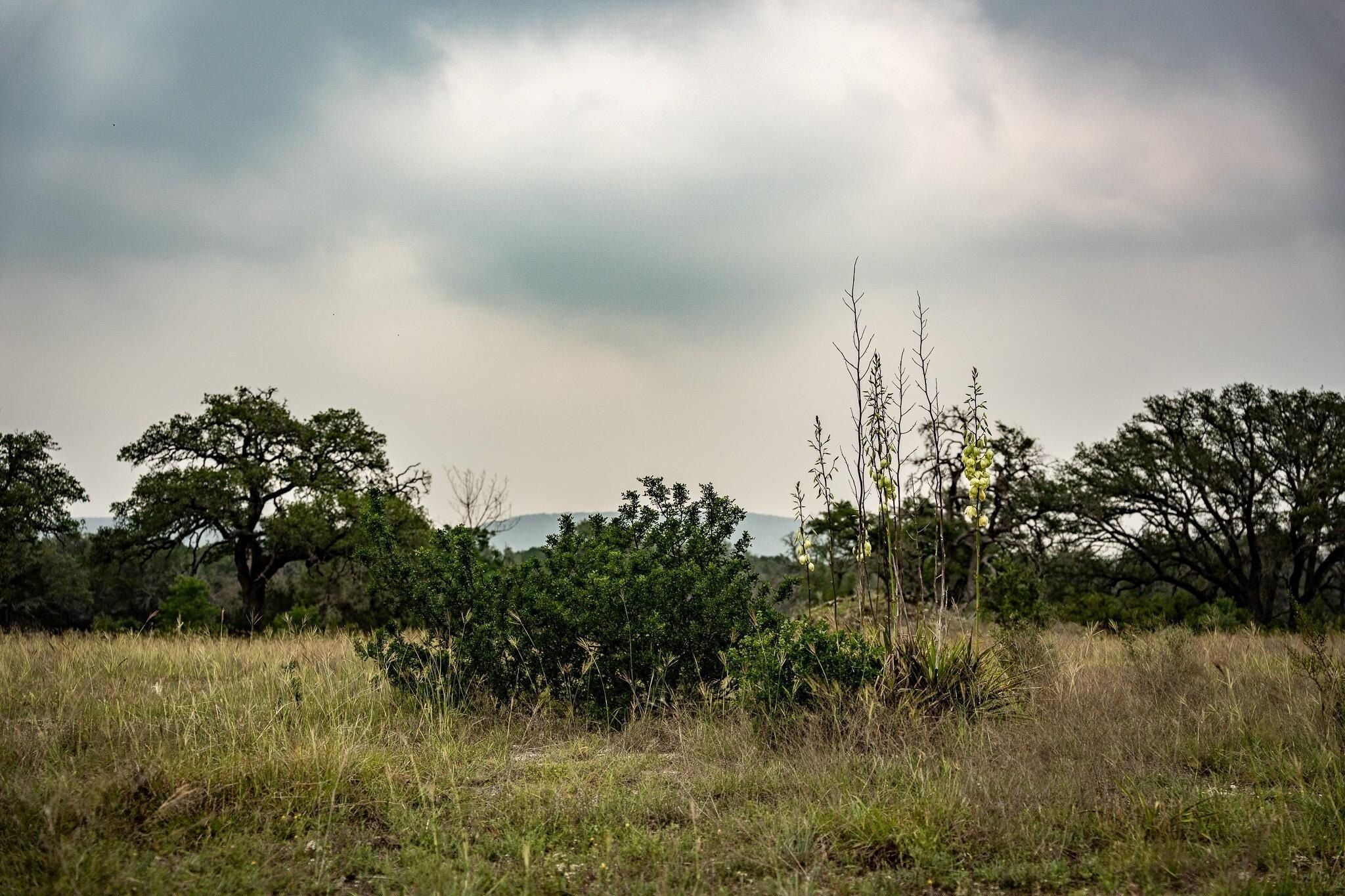 4772 County Road 340, Burnet, TX 78611 | MLS: 6910309 | Land.com