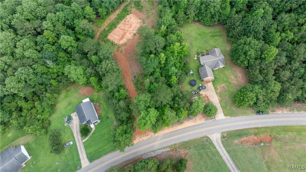 1 Brant Ward Rd, Cottondale, AL 35453 | MLS: 168959 | Land.com