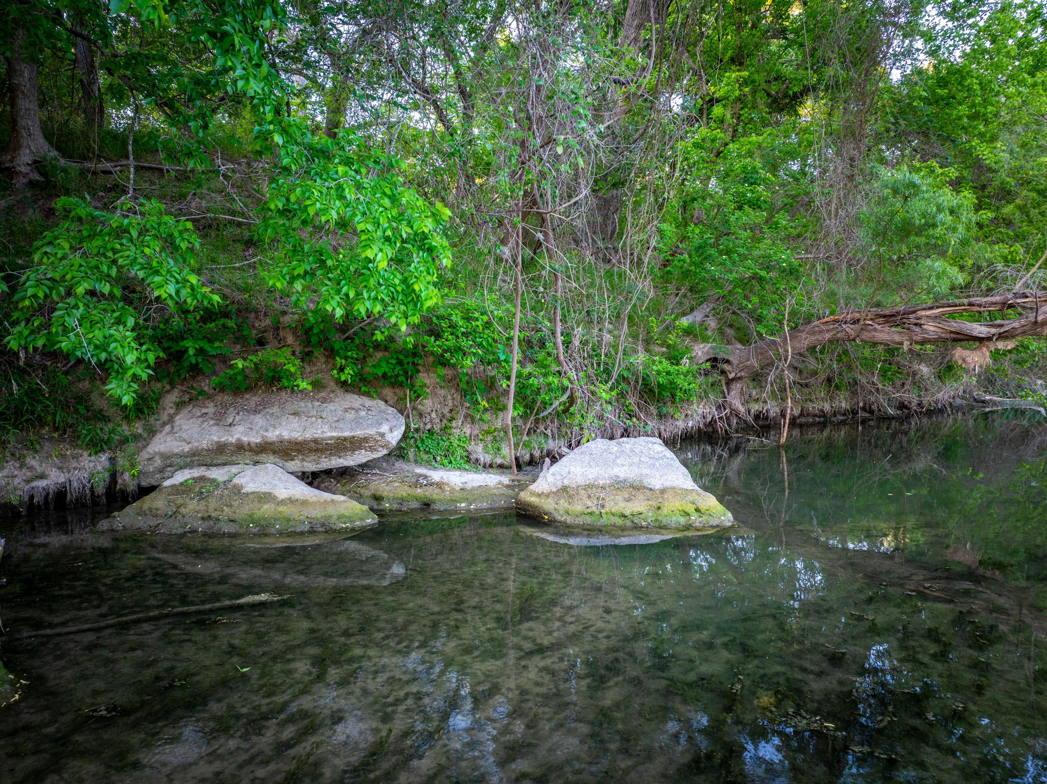 Kingsbury, Texas 78638, Kingsbury, TX 78638 | Land.com