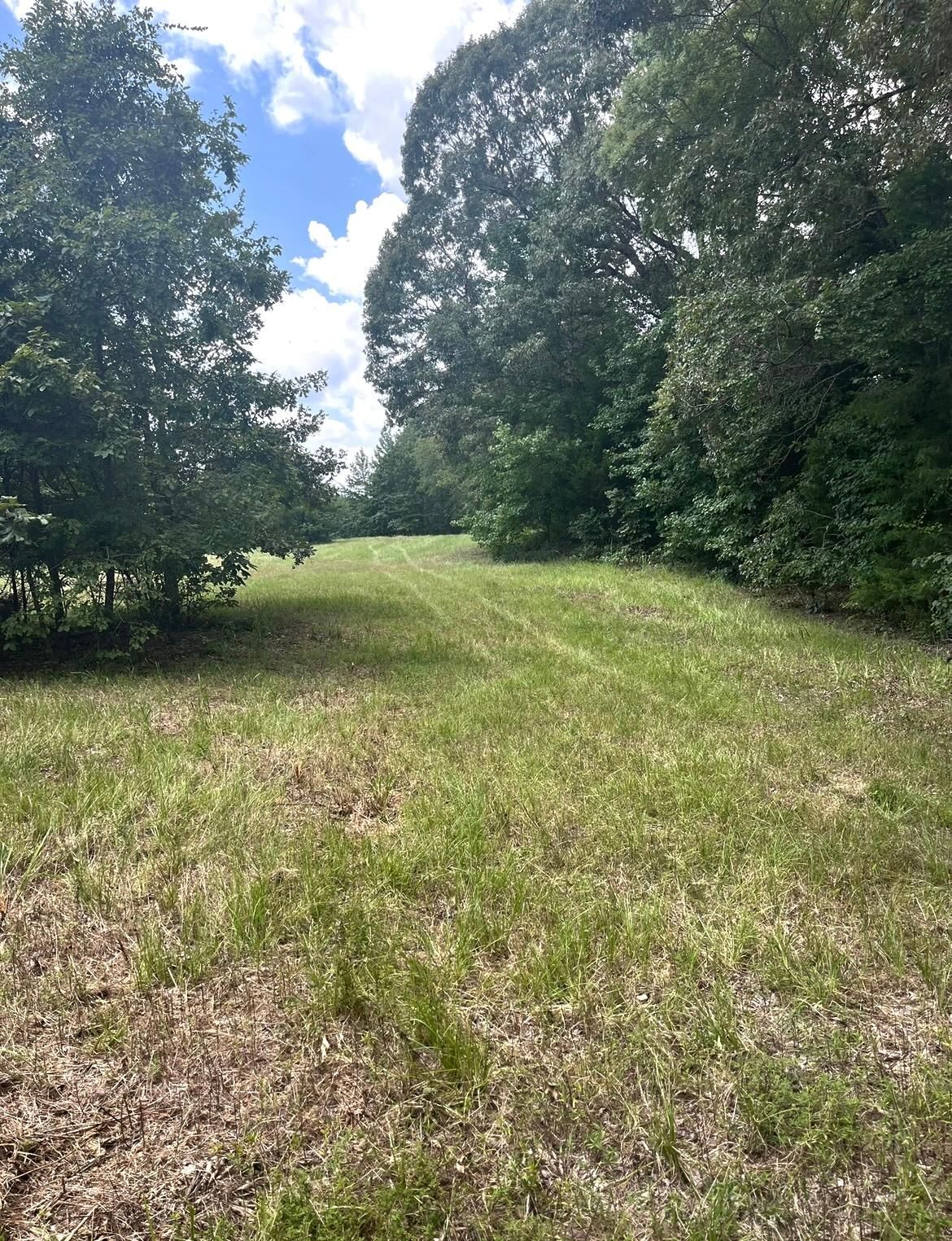 Kulli Pool Road, Idabel, OK 74745 | MLS: 0000-36-08S-24E-1-003-0 | Land.com