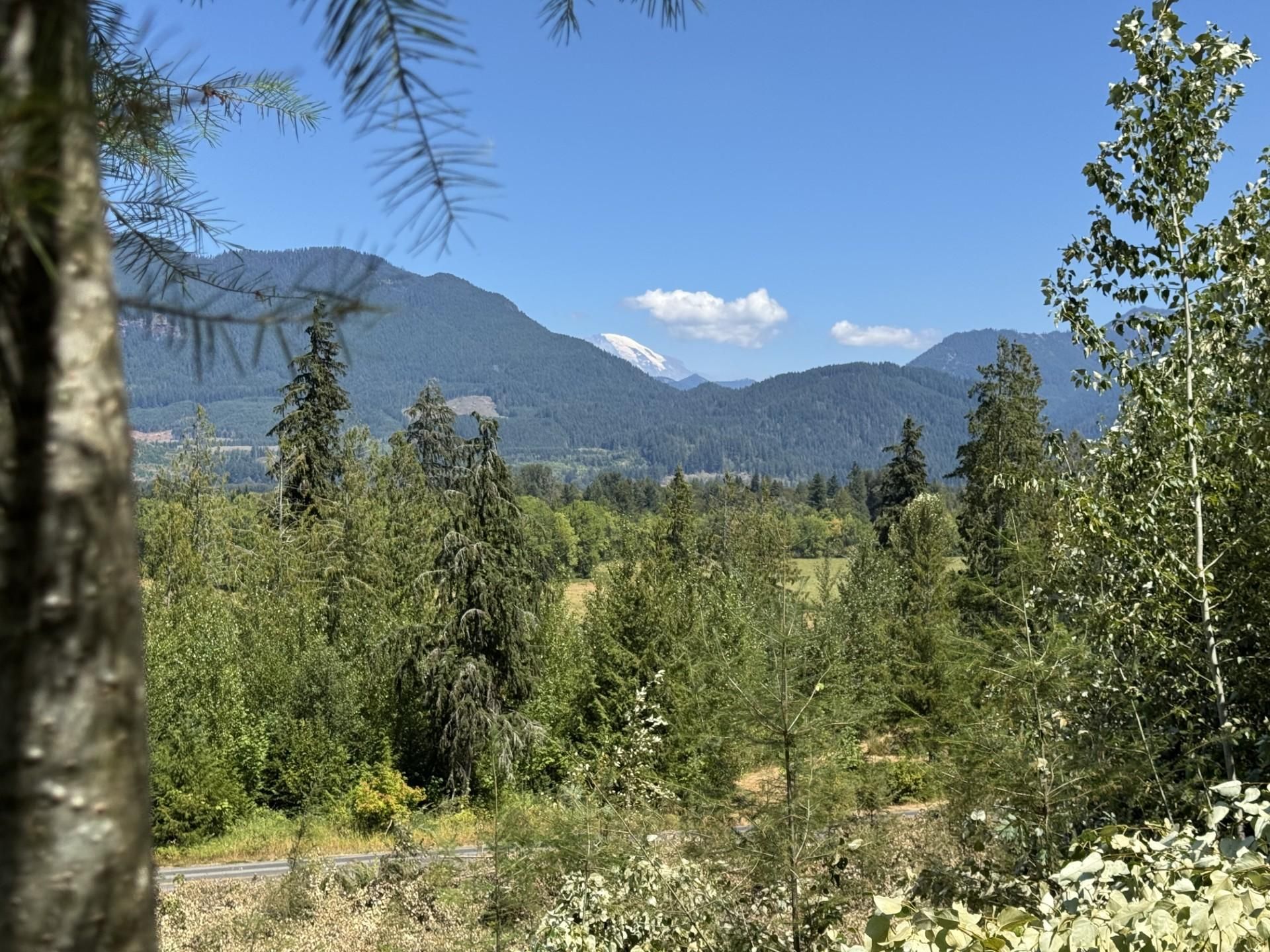 4 Skinner Rd, Randle, WA 98377 | MLS: 2413644 | Land.com