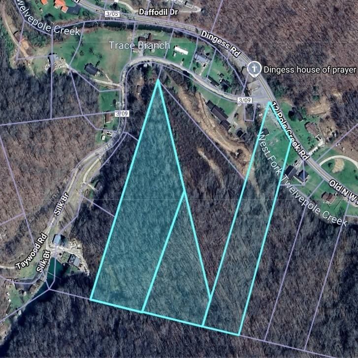 5205 Dingess Road, Dingess, WV 25671 | MLS: 11558361 | Land.com