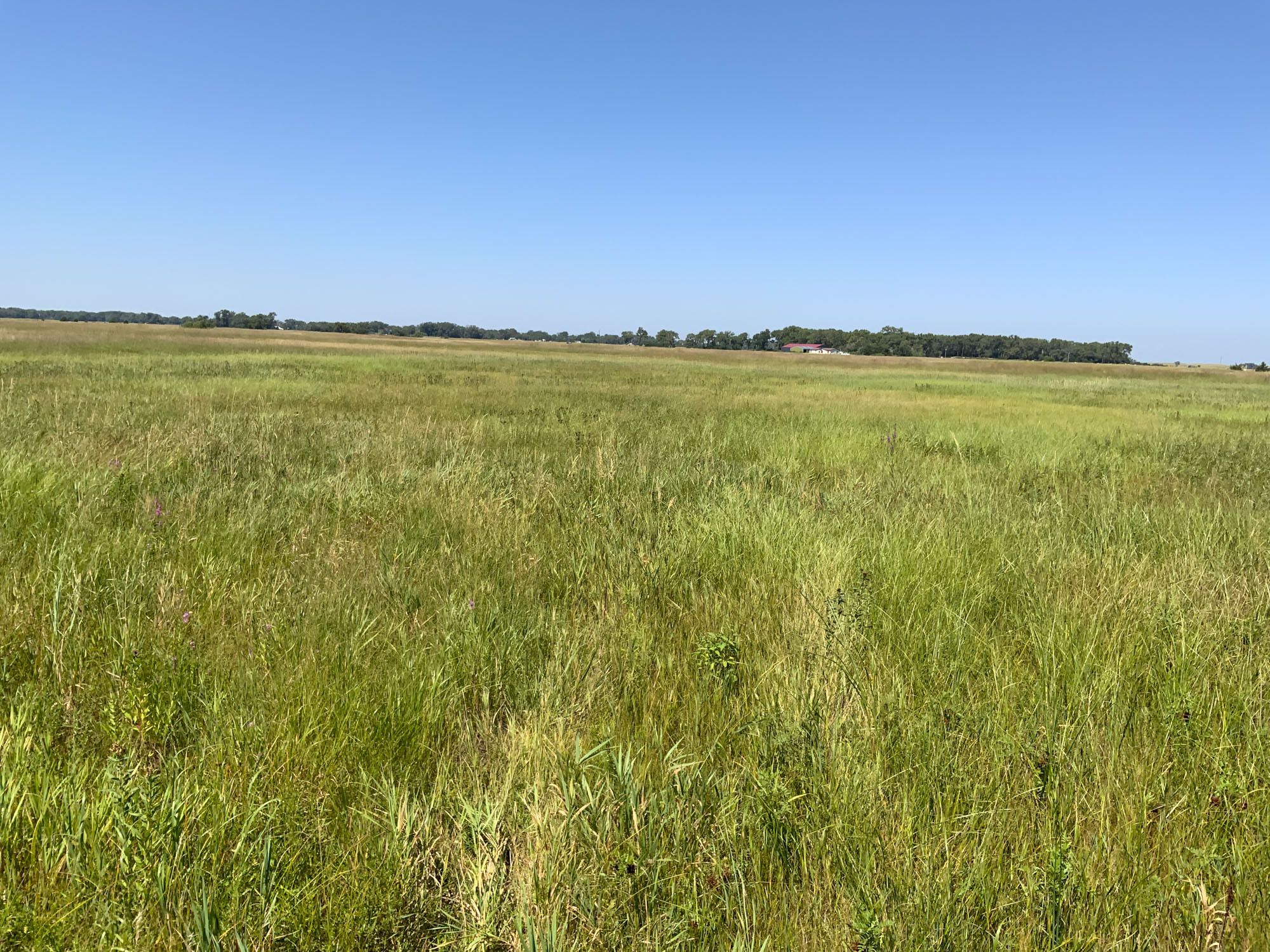 153.63 acres in Newport, NE, 68759 | Land.com