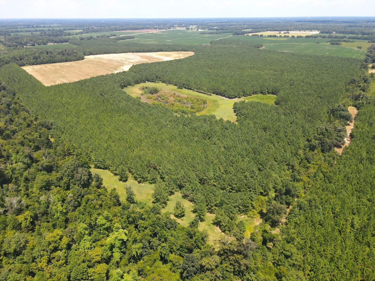 5293 HWY 2, Marianna, FL 32446 | Land.com