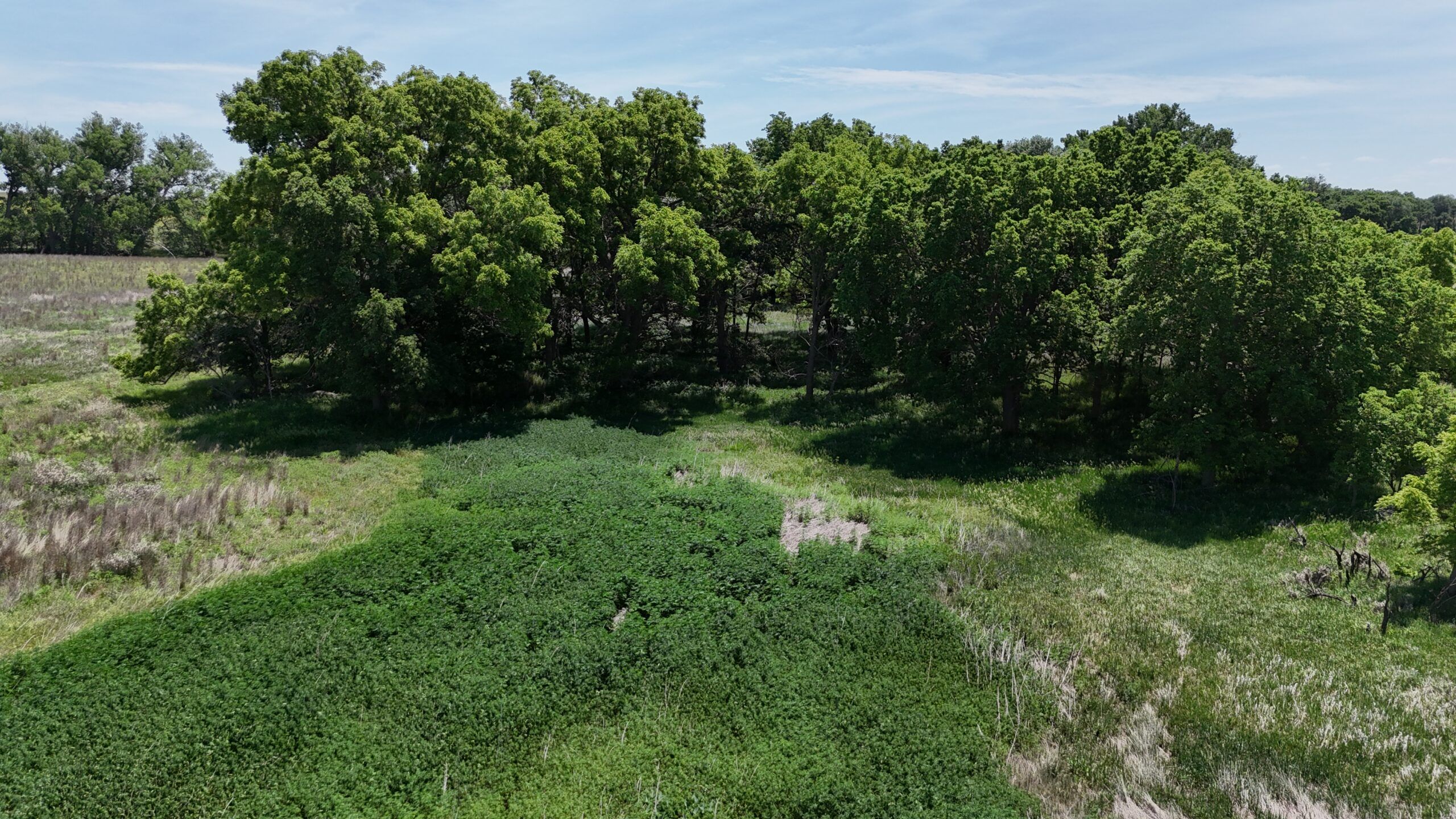 TBD 2500 Rd, Jennings, KS 67643 | Land.com