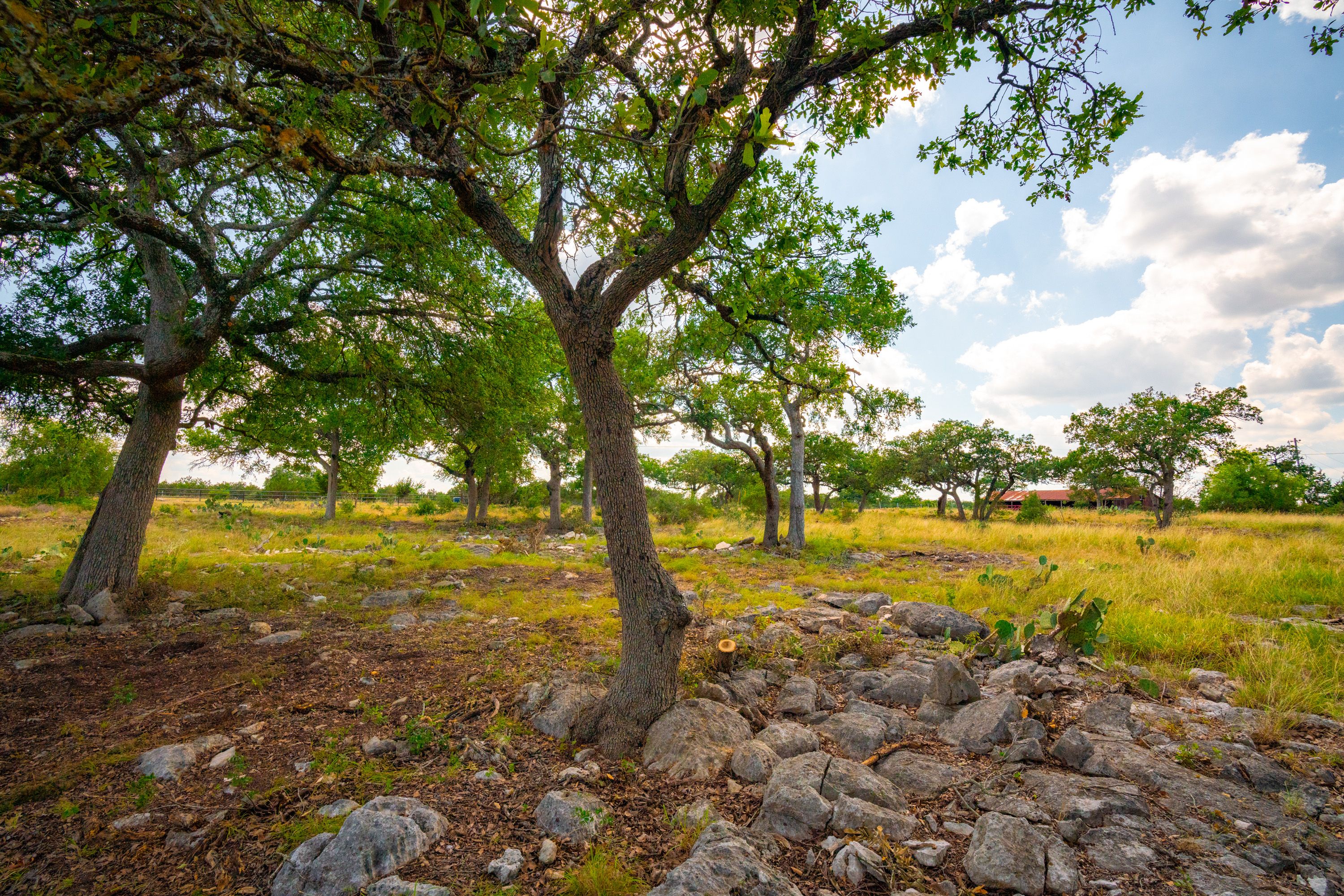 105 Bella Springs, Boerne, TX 78006 | MLS: sabor|1895293 | Land.com