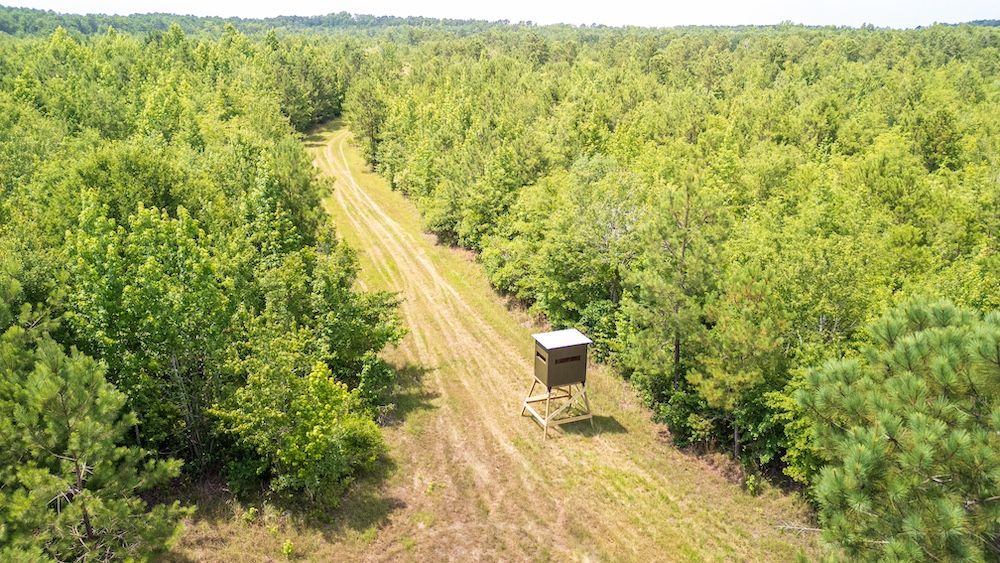 TBD Gwen Dr Lot#WP001, Hamer, SC 29547 | Land.com