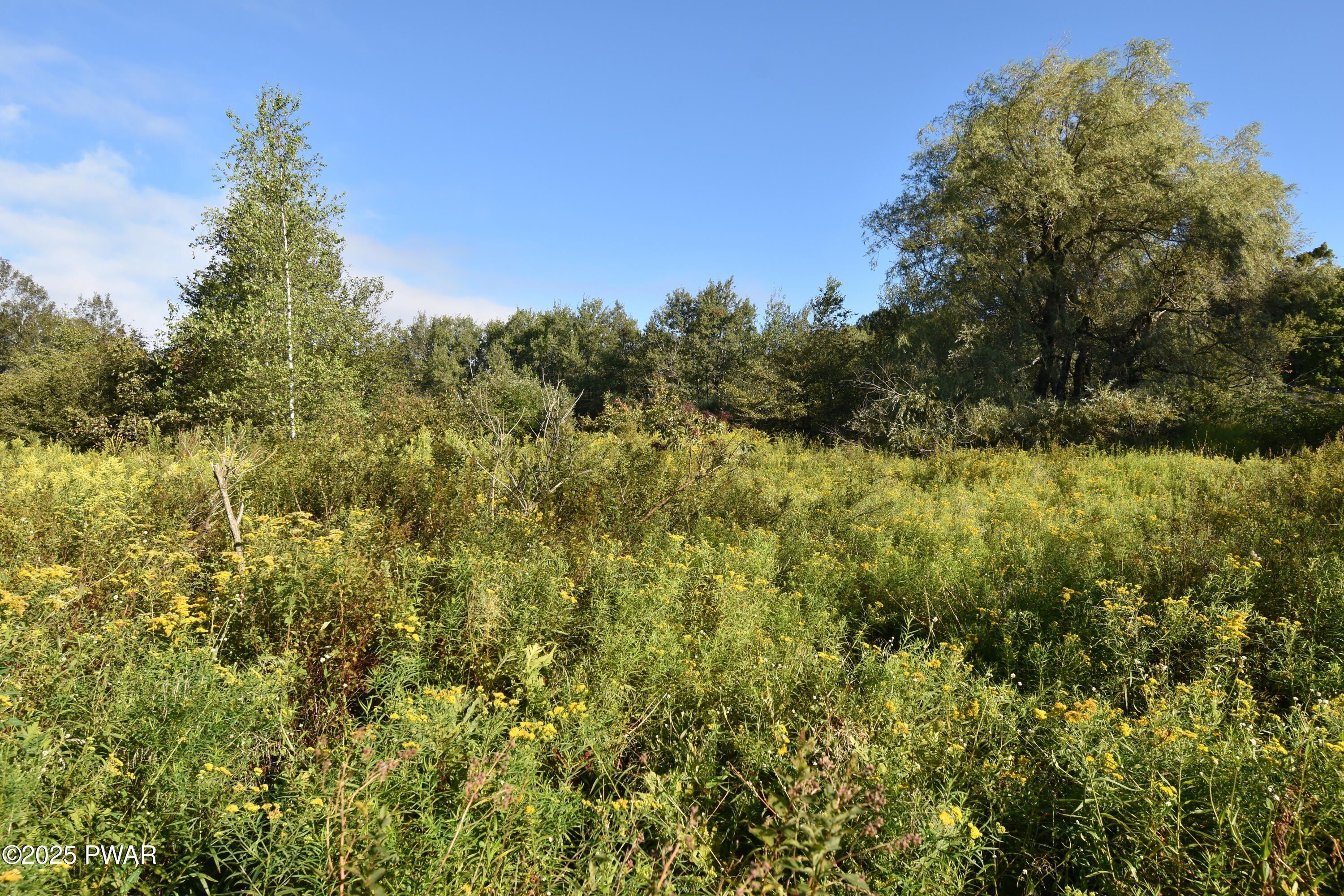 430 Flat Rock Road, Forest City, PA 18421 | MLS: PW-252885 | Land.com