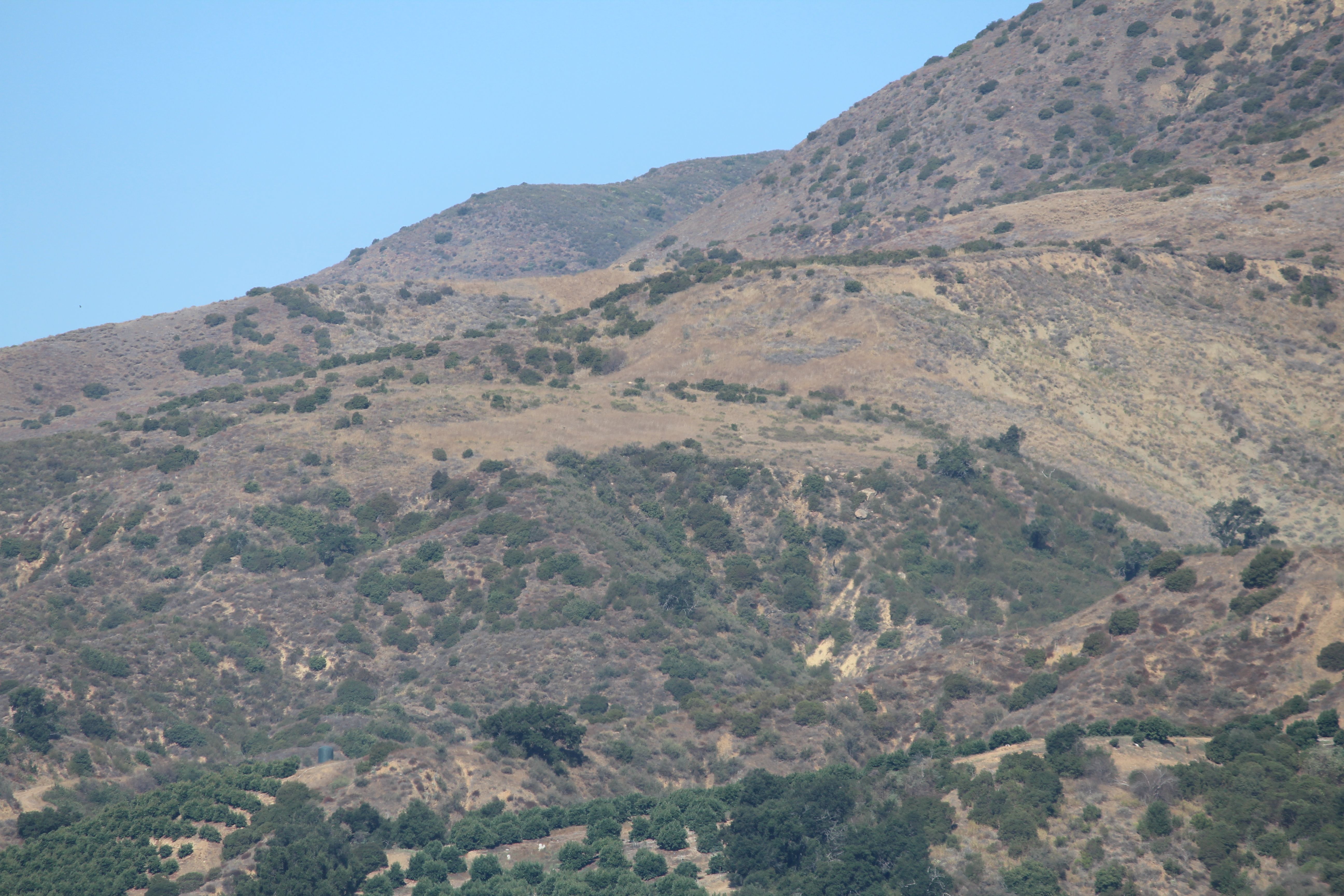 000 Fillmore St, Fillmore, CA 93015 | MLS: V1-31967 | Land.com