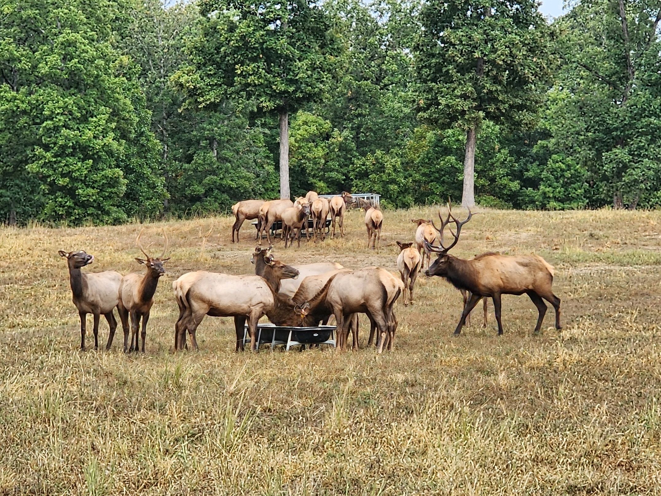 28000 Ivy Bend Road, Stover, MO 65078 | Land.com