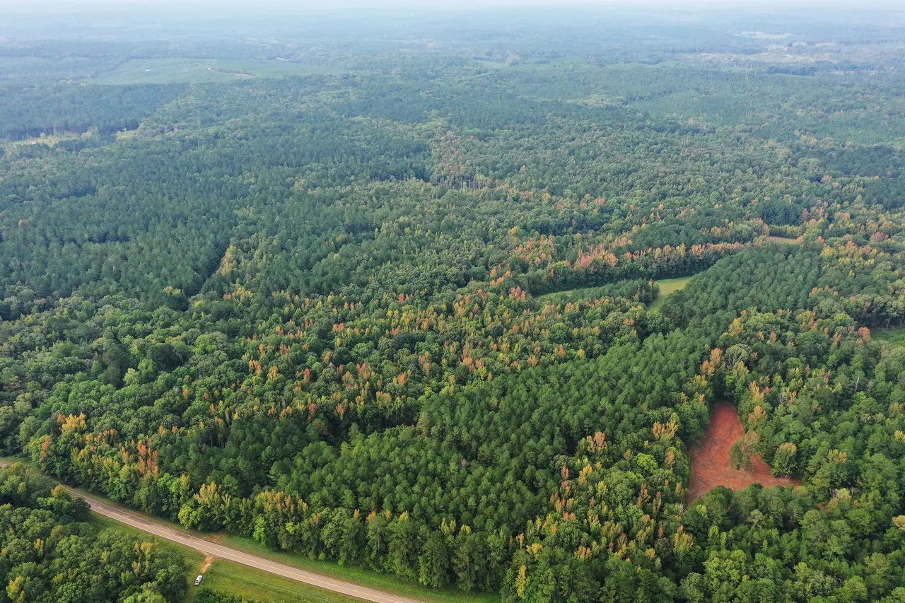 HWY 407, Kilmichael, MS 39747 | Land.com