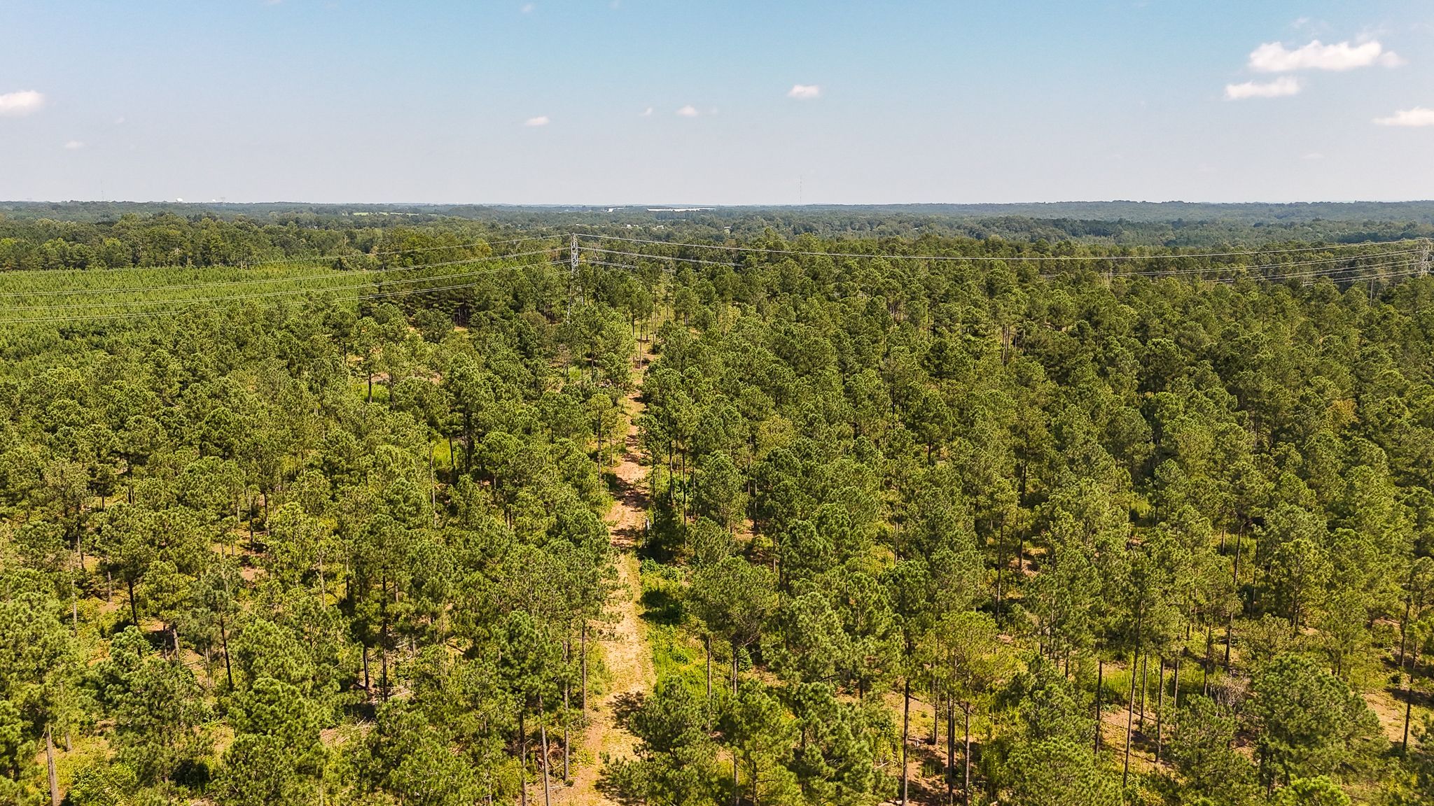 Off Bailey Rd, Buffalo, SC 29321 | Land.com