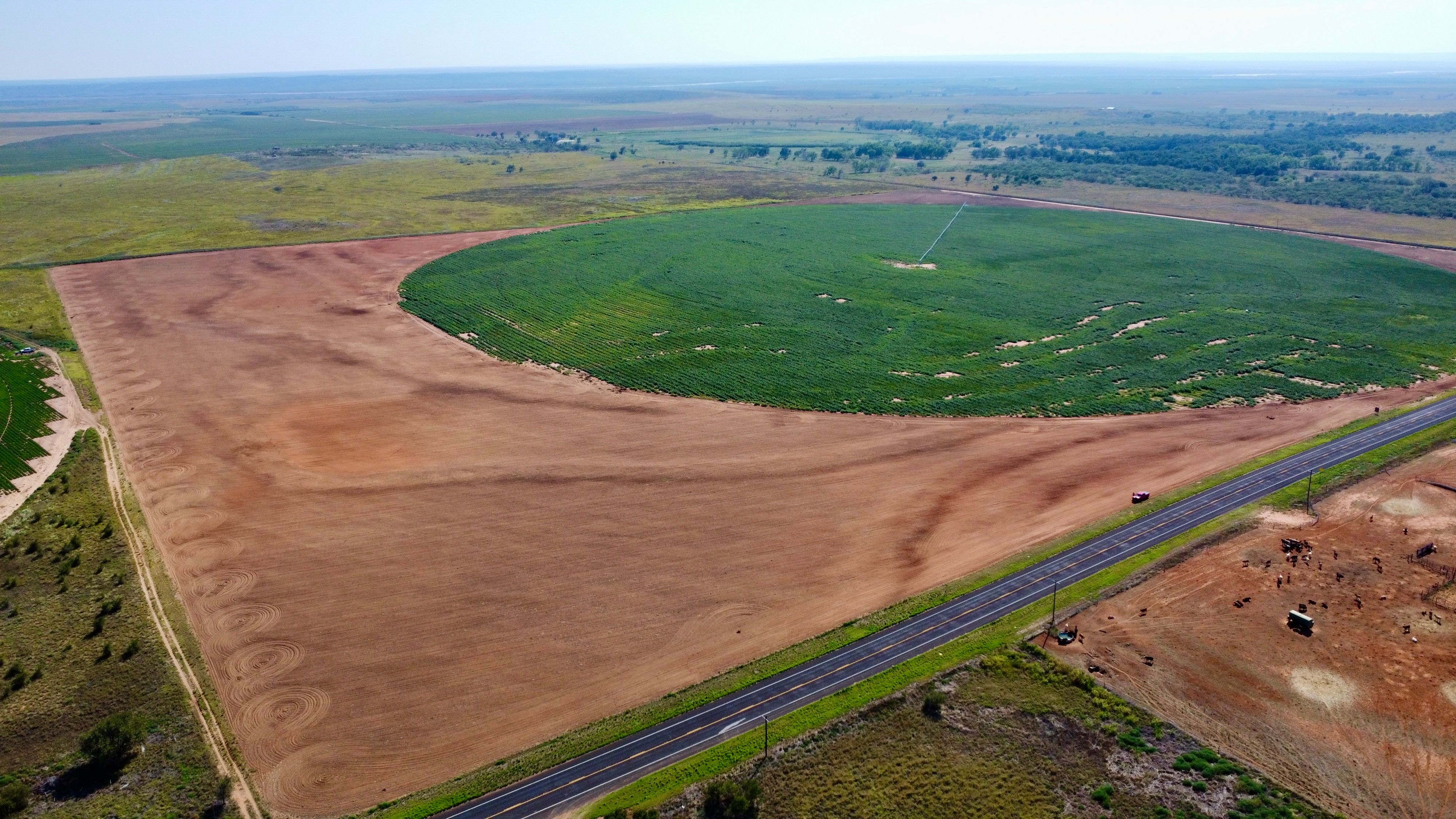 130 Acres Lesley TX, Lakeview, TX 79239 | Land.com