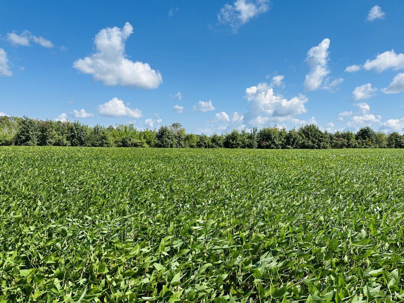 Lot 068-0, Prince George Drive, Disputanta, VA 23842 | MLS: 11574341 ...