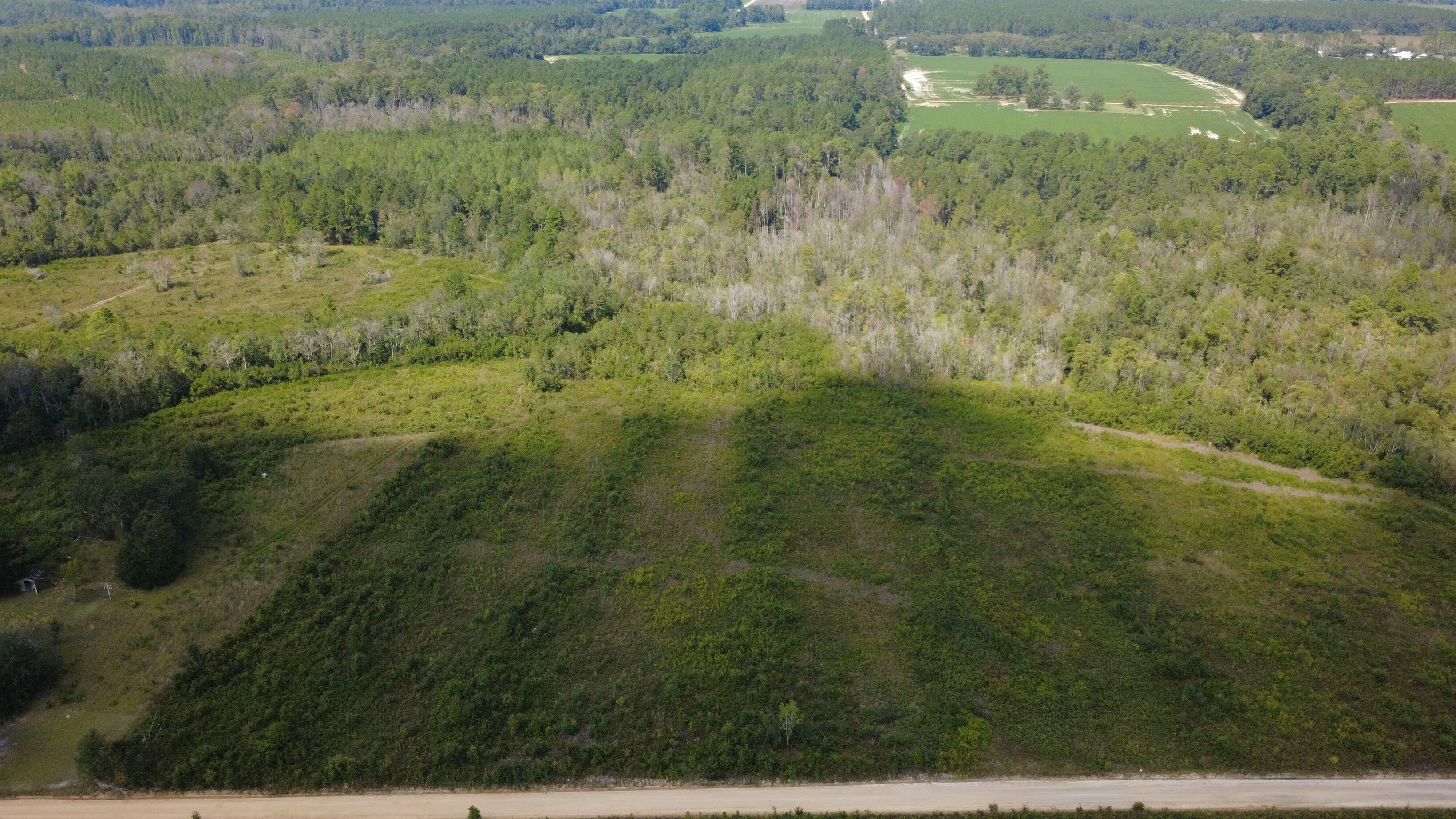 Pine Cone Trail, Mershon, GA 31551 | Land.com