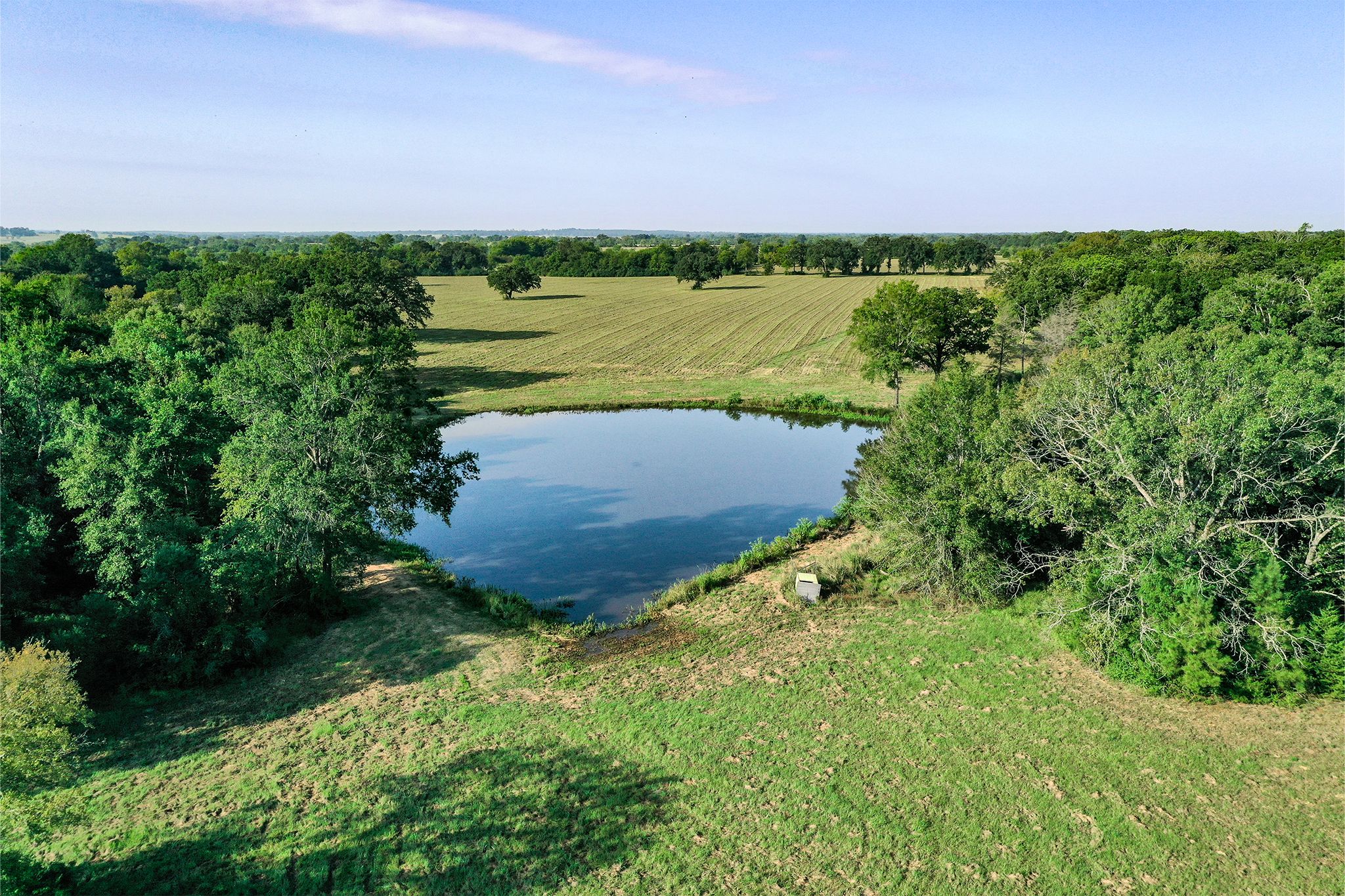 65 Acres FM 2967, Porter Springs, TX 75835 | MLS: 71869173 | Land.com