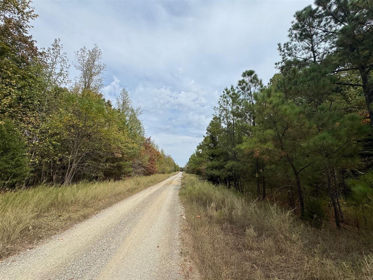 0 Henry Oates Road, Graham, KY 42344 | MLS: RA20255457 | Land.com