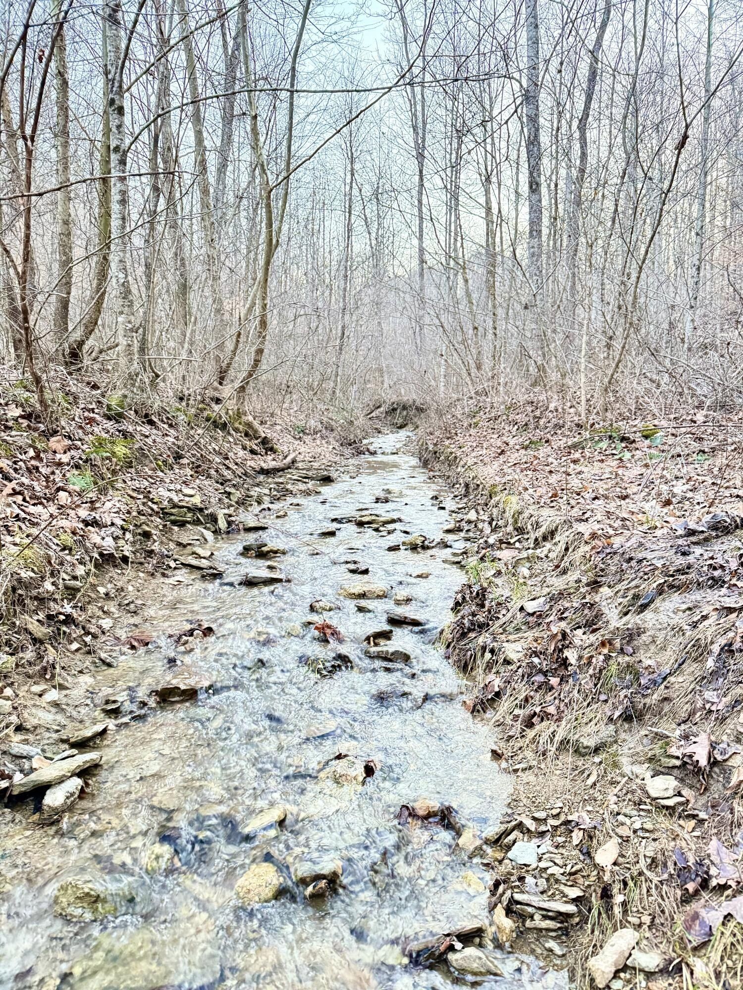 Sam Baughman Road, Stanford, KY 40484 | MLS: 25002757 | Land.com