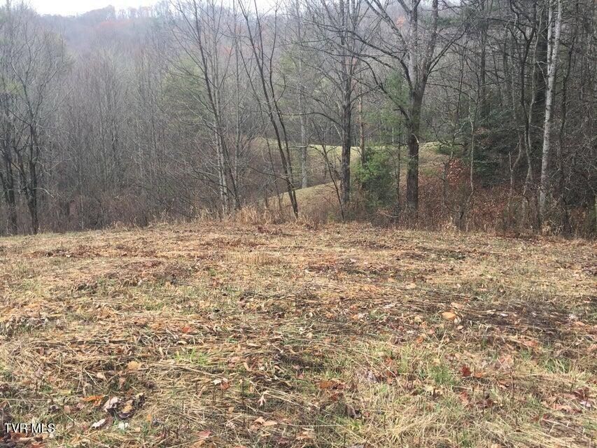 Heaton Branch Road, Butler, TN 37640 | MLS: 9978941 | Land.com