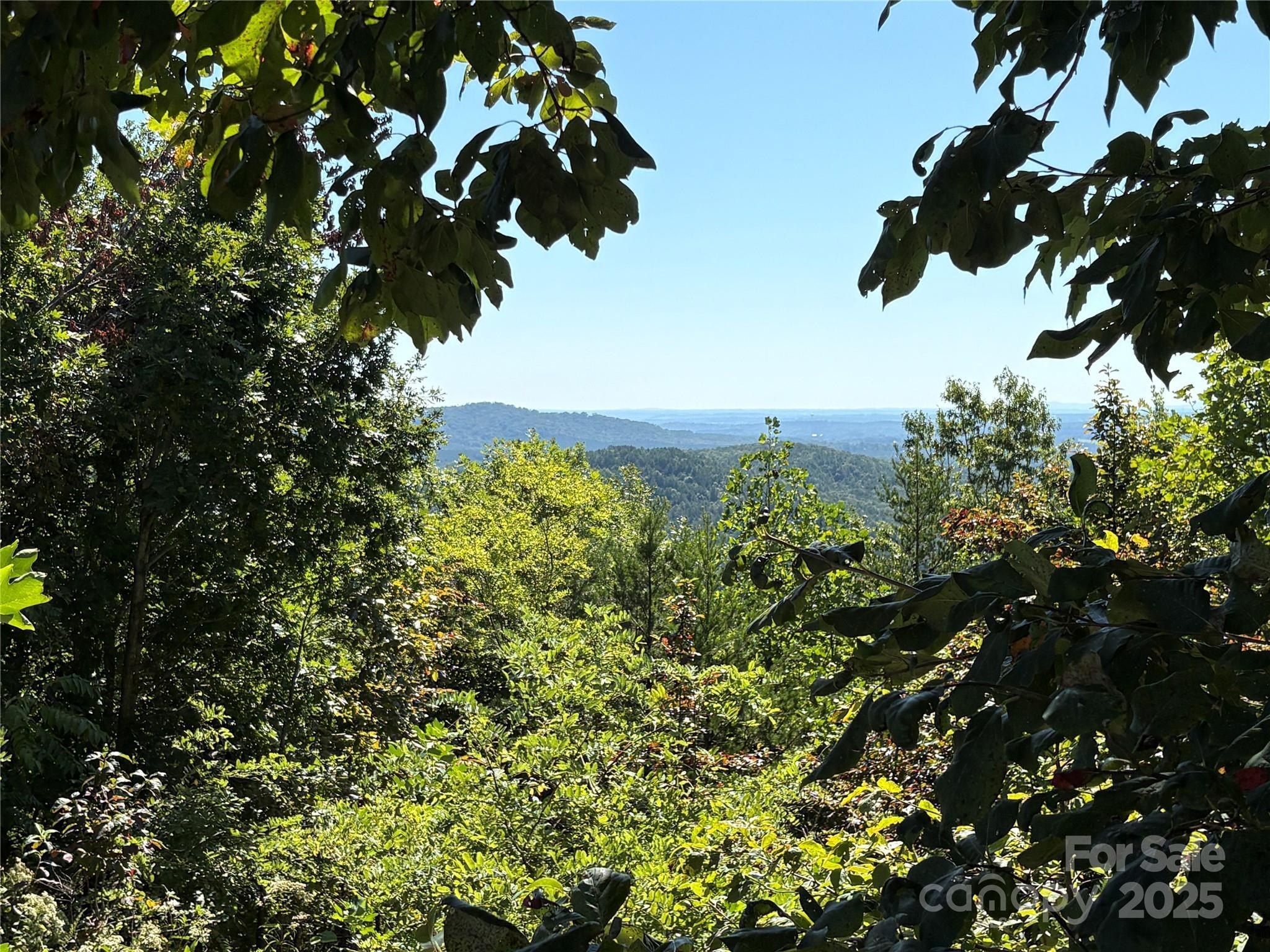 Azule Ridge Drive, Bostic, NC 28018 | MLS: 4296695 | Land.com