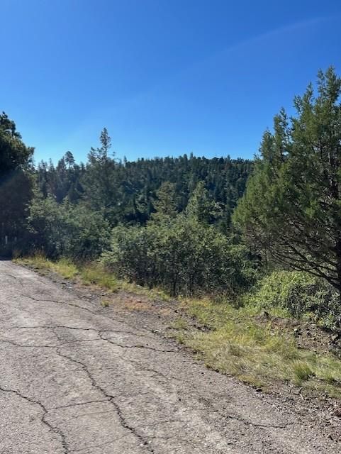 113 & 115 Westbury Drive, Ruidoso, NM 88345 | MLS: 133203 | Land.com