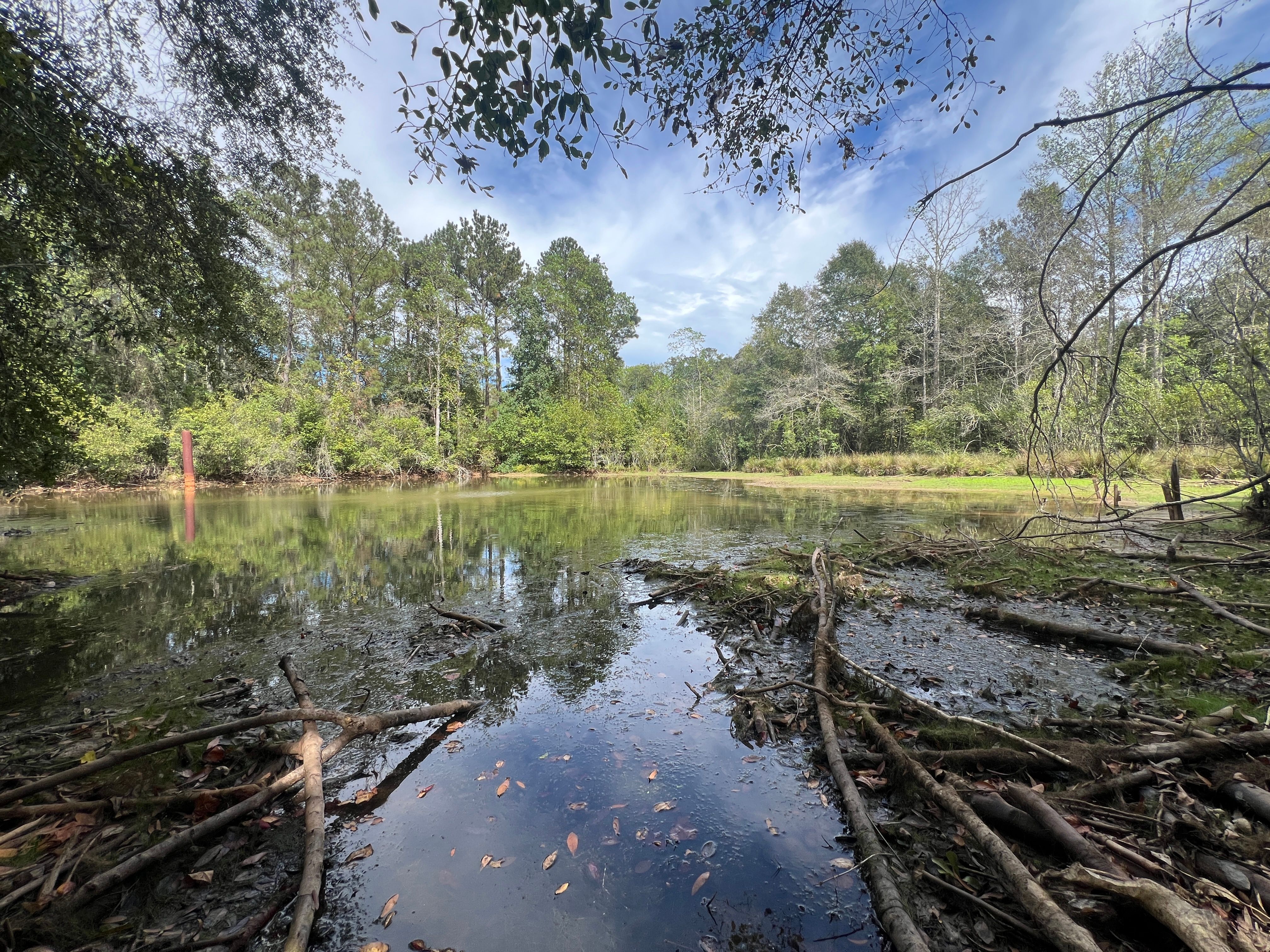 120 County Road 515, Elba, AL 36323 | Land.com