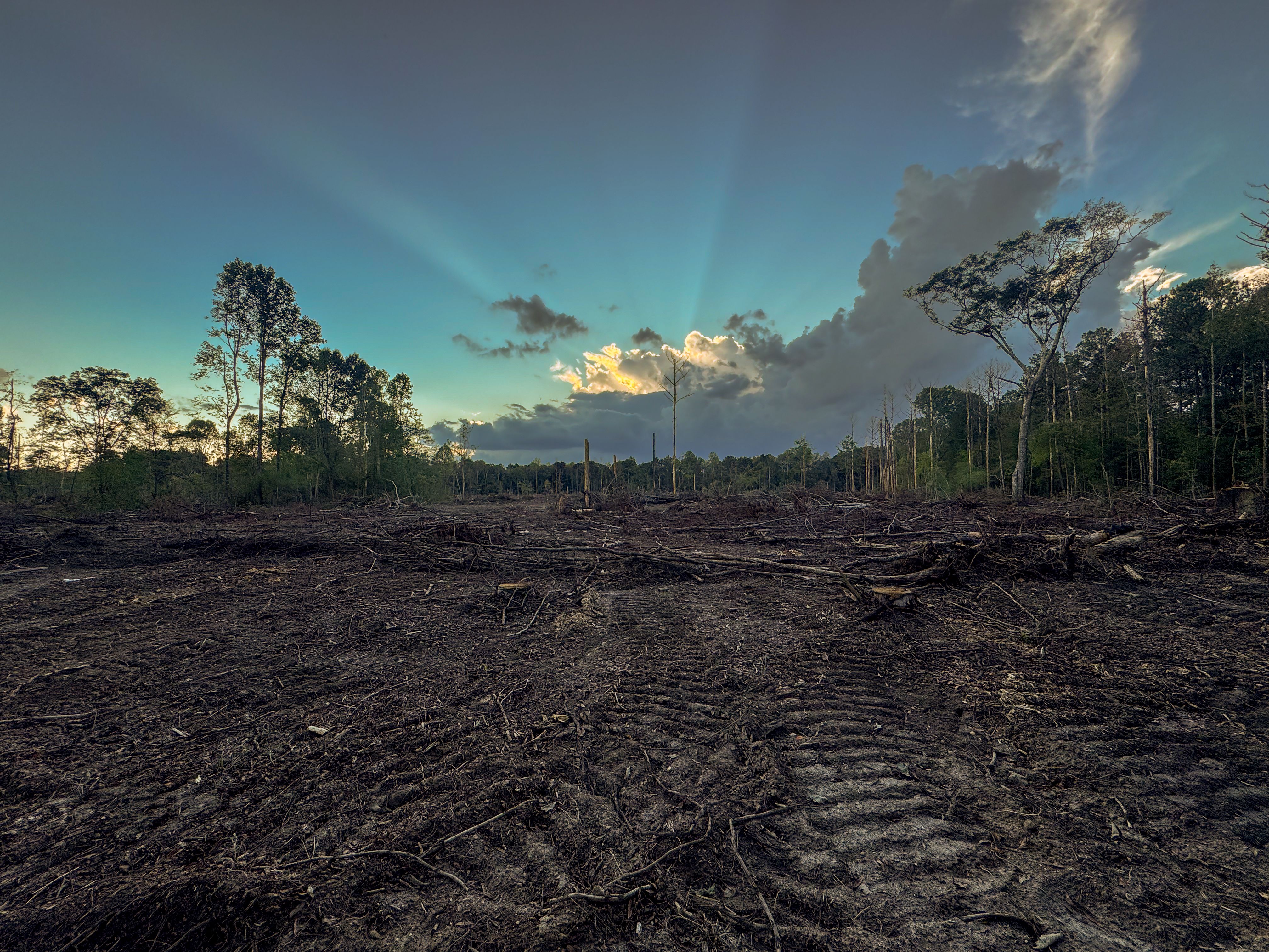 Ashley Road, Brandon, MS 39042 | Land.com