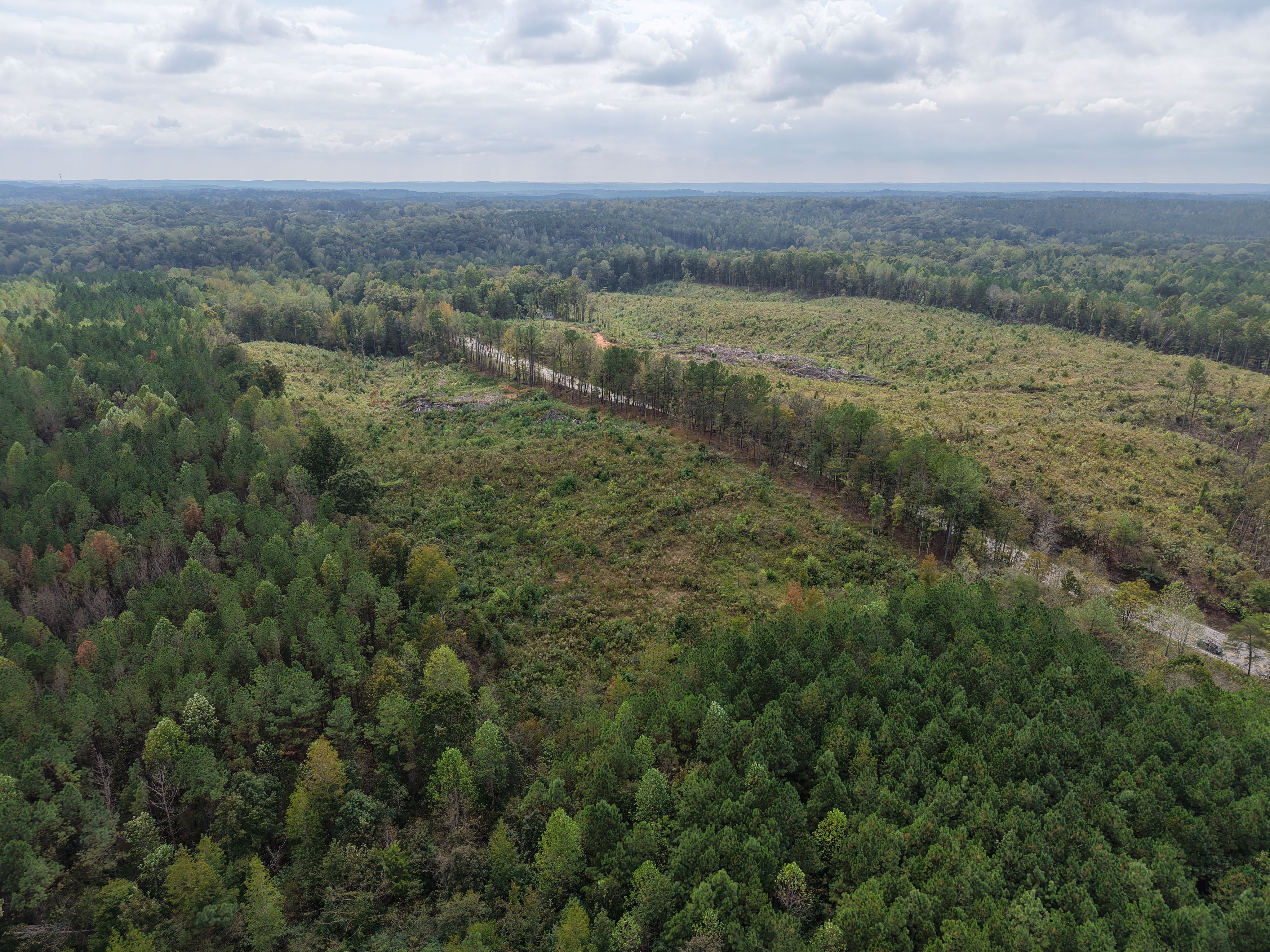 3546 Alabama 269, Parrish, AL 35580 | Land.com