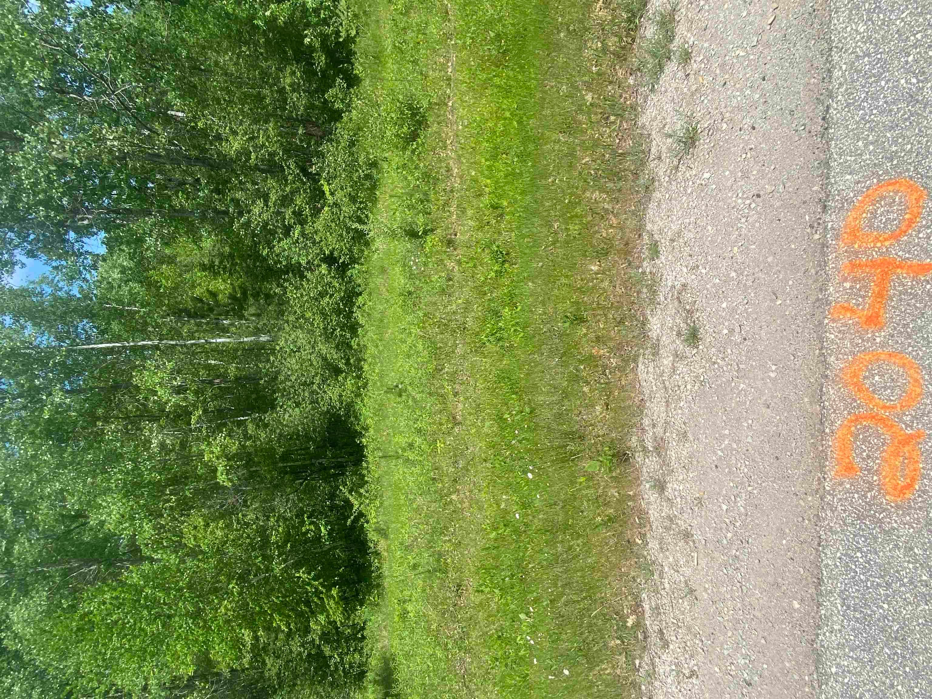 2002 LOST Trail, Suamico, WI 54313 | MLS: 50317181 | Land.com
