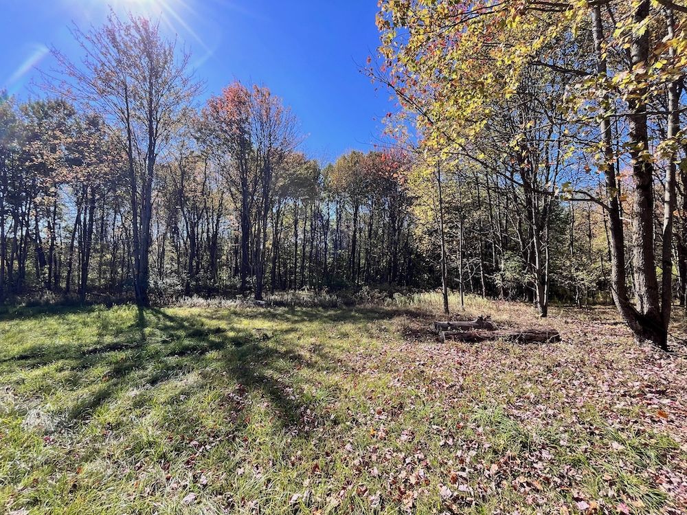 1235 White Hill Rd, Bolivar, NY 14715 | Land.com
