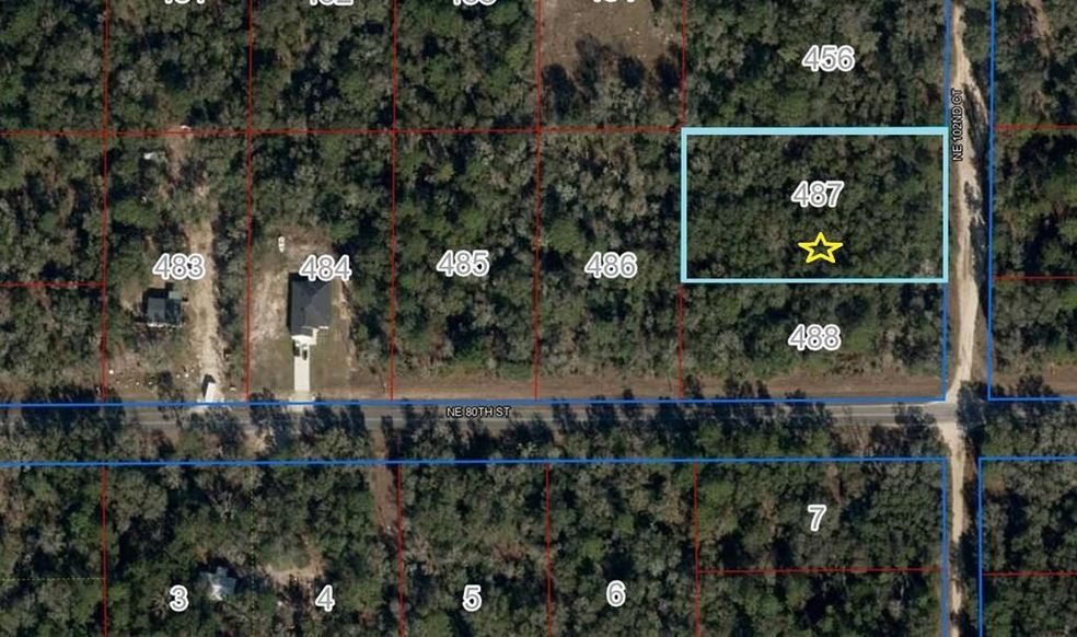LOT 487 NE 102nd Court, Bronson, FL 32621 | MLS: 795280 | Land.com