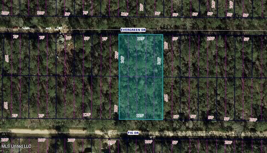 Fig Drive, Bay Saint Louis, MS 39520 | MLS: 4130504 | Land.com
