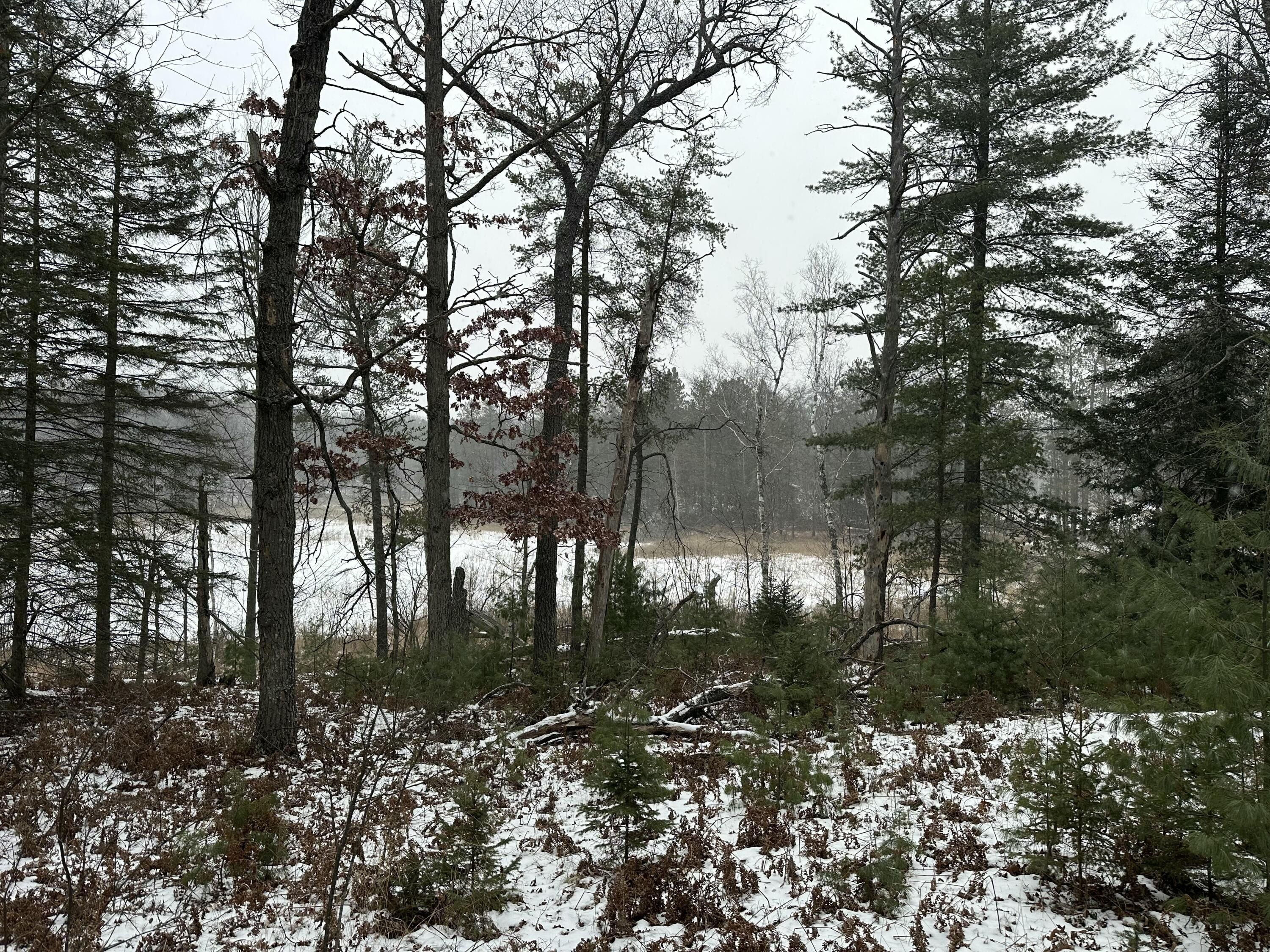 4810 Tote Road, Comins, MI 48619 | MLS: 201833063 | Land.com