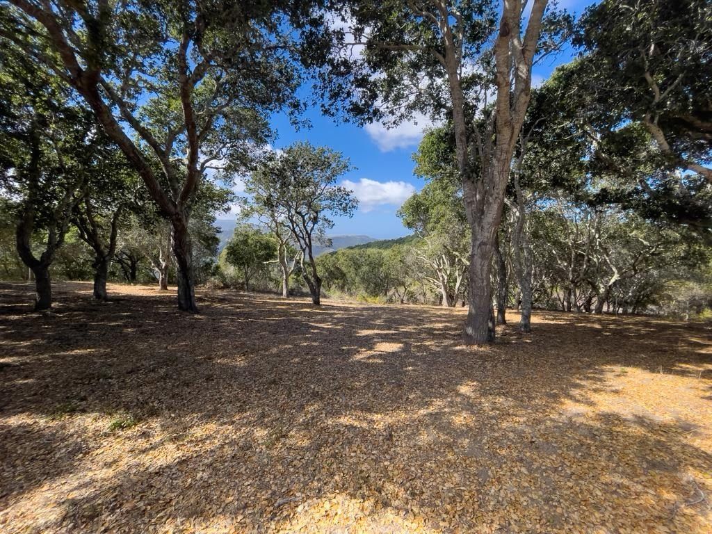 70 Chamisal PASS, Carmel Highlands, CA 93923 | MLS: ML81990616 | Land.com