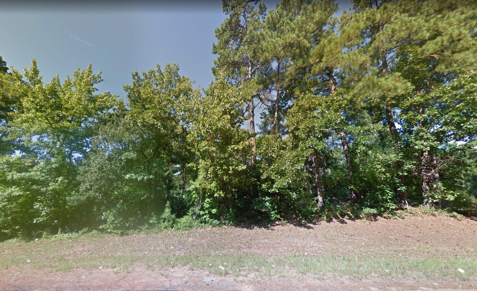 Ravenwood Loop, Avinger, TX 75630 | Land.com