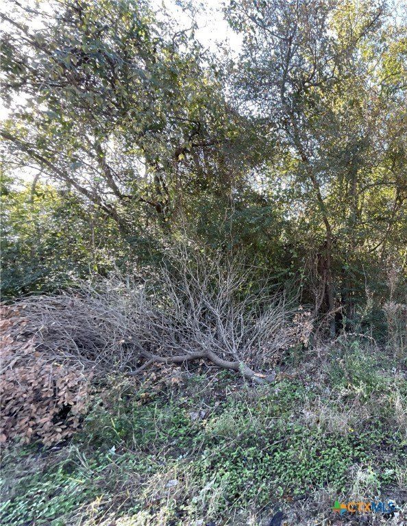 Bowie & Newton lot: 1, Cameron, TX 76520 | MLS: 598488 | Land.com