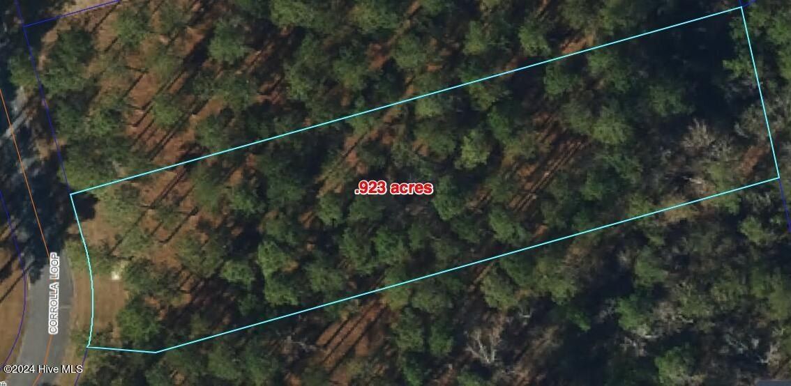 95 Corrolla Loop Road lot: 66, Oriental, NC 28571 | MLS: 100494939 ...