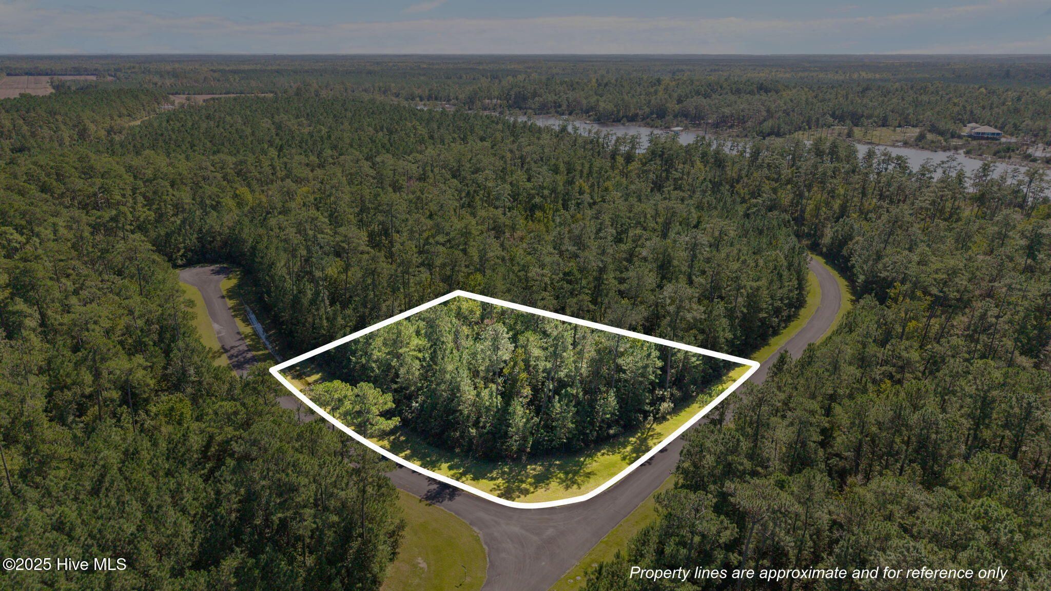 26 Mason Lane, Merritt, NC 28556 | MLS: 100534176 | Land.com