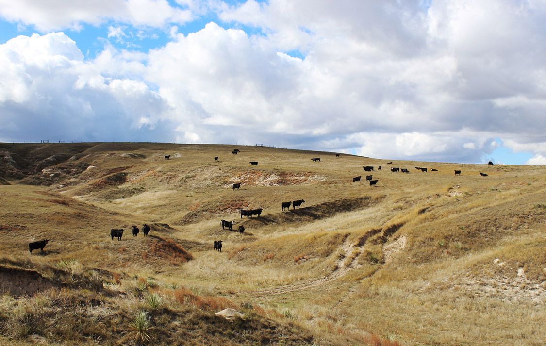 County Road 79, Hemingford, NE 69348 | Land.com