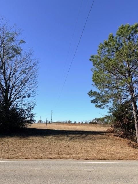 4135 GA Hwy 111 N, Cairo, GA 39827 | MLS: 926328 | Land.com