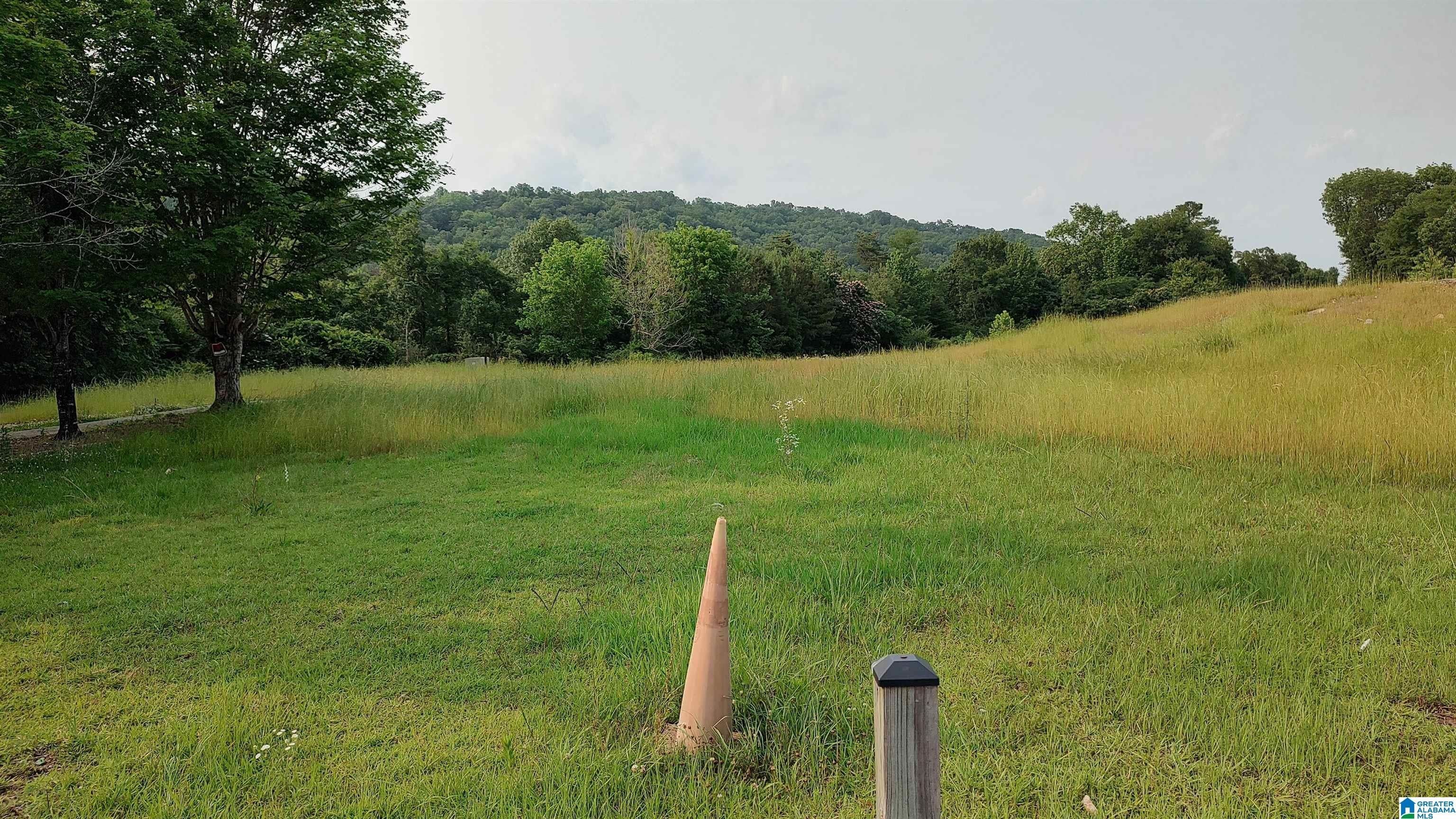 20 MILL CREEK ROAD, Warrior, AL 35180 | MLS: 21420563 | Land.com