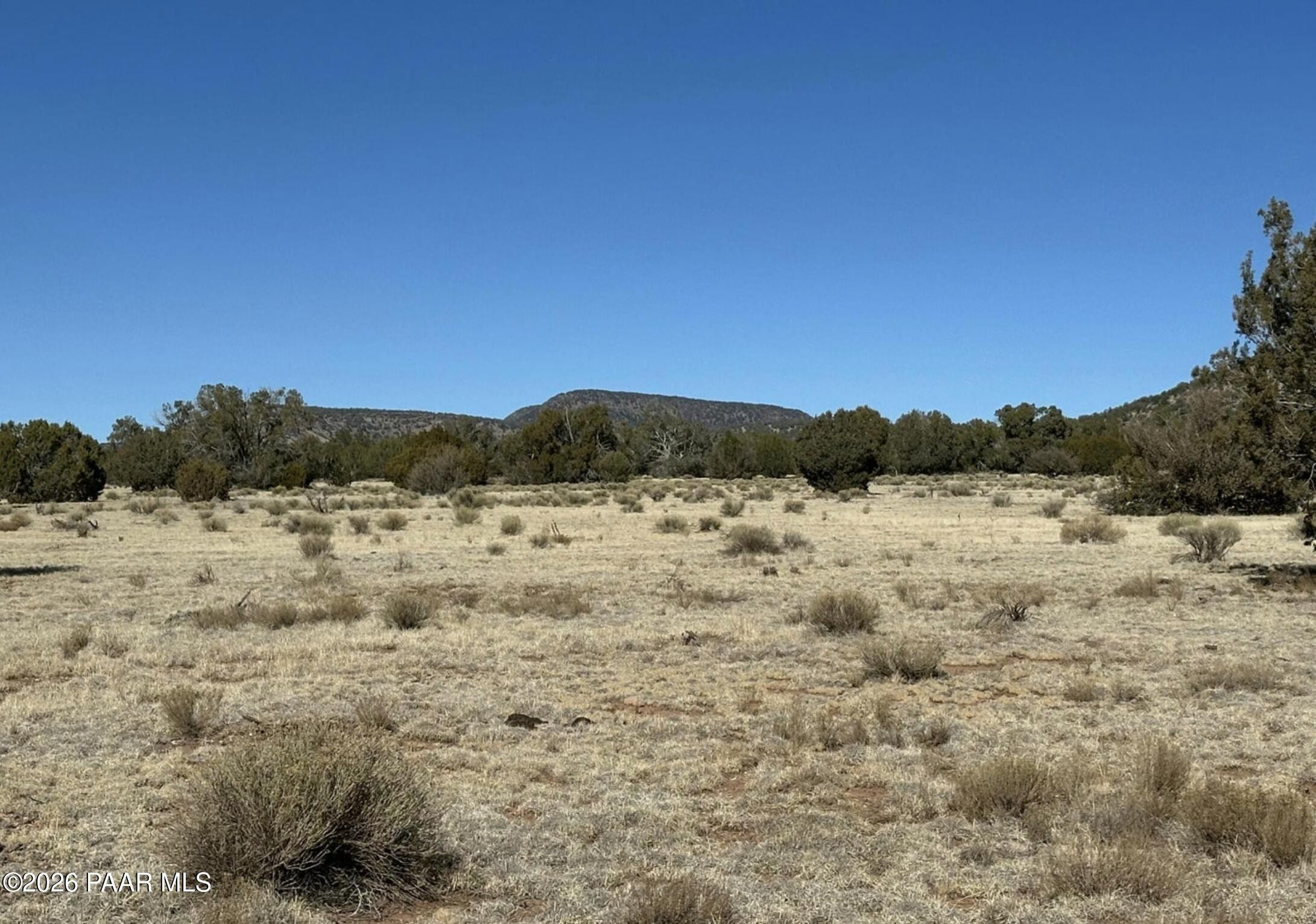 932c SW Thirsty Burro Road, Seligman, AZ 86337 | MLS: 1078547 | Land.com