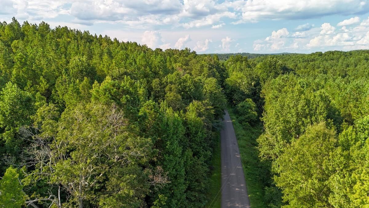 COUNTY ROAD 63 N, Carbon Hill, AL 35549 | MLS: 25-1627 | Land.com