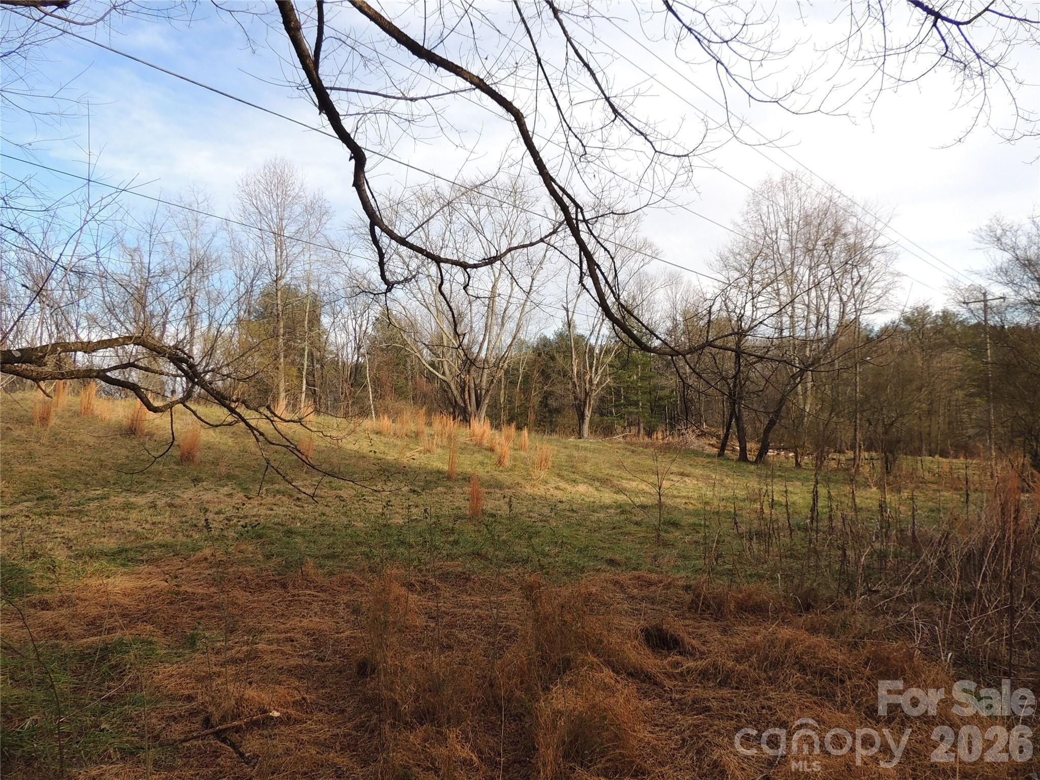 999 Ray Hill Road, Mills River, NC 28759 | MLS: 4335470 | Land.com