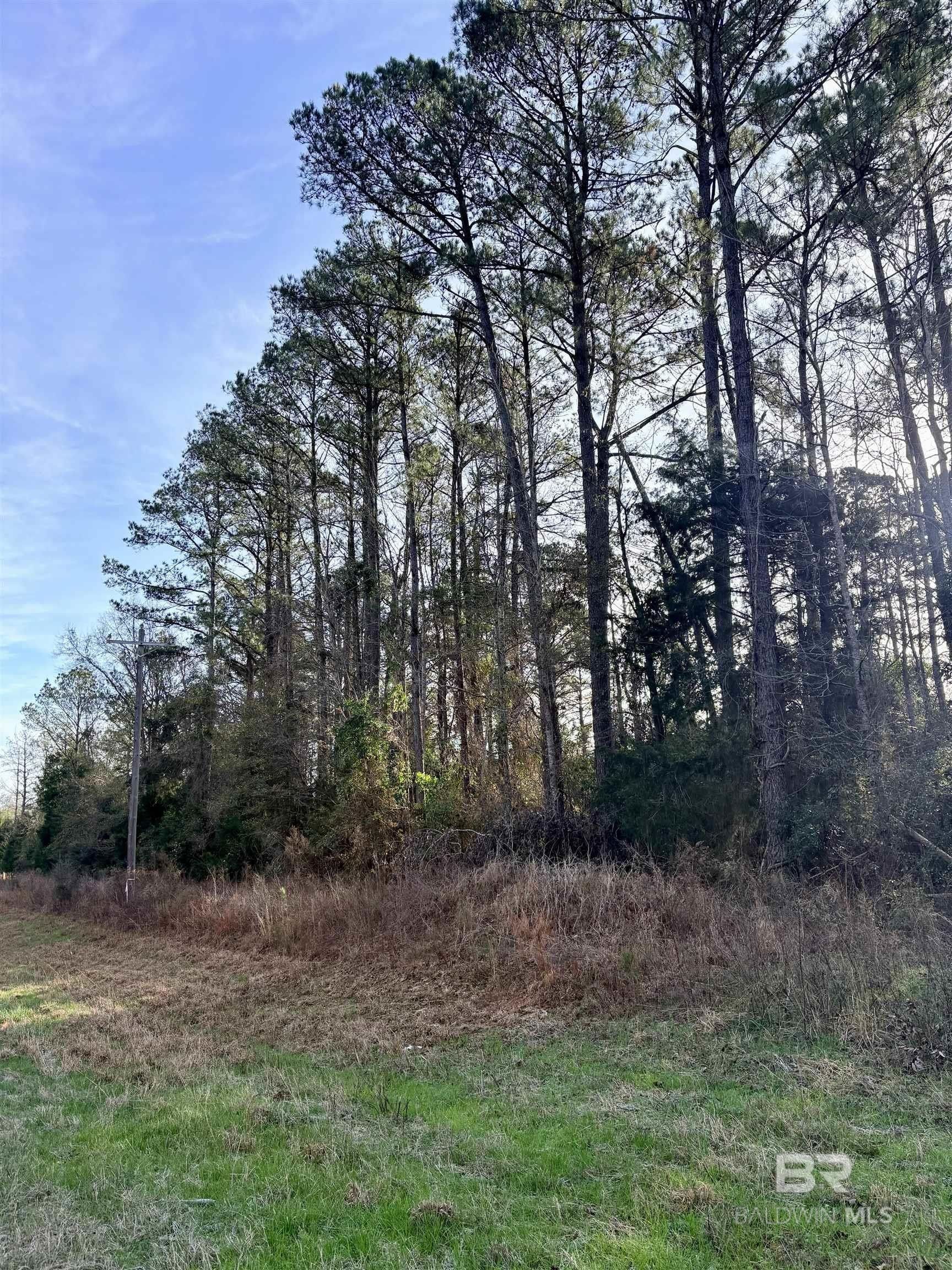 0 Highway 84, Repton, AL 36401 | MLS: 390211 | Land.com