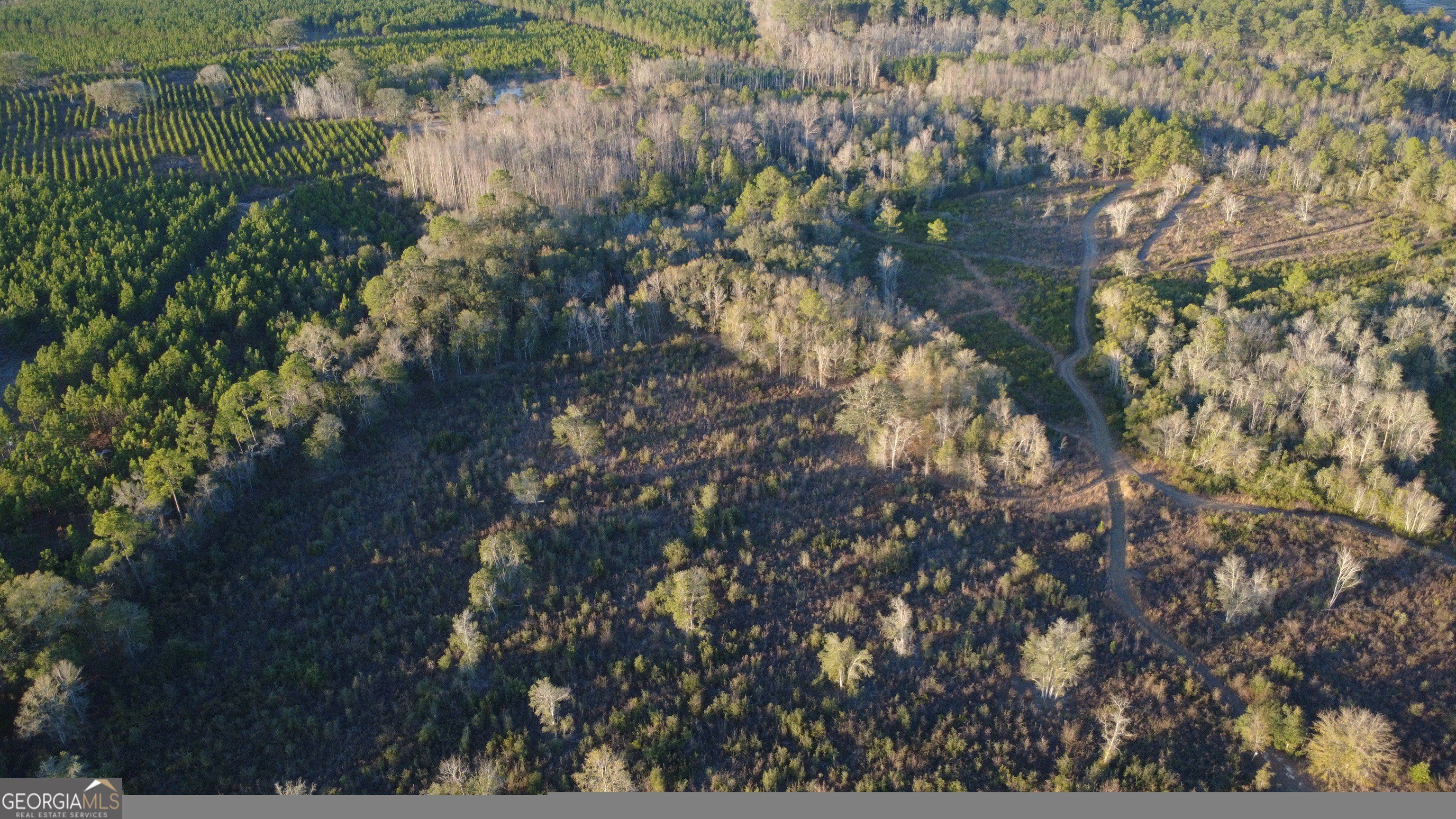 3376 Pine Cone Trail, Mershon, GA 31551 | MLS: 10671410 | Land.com