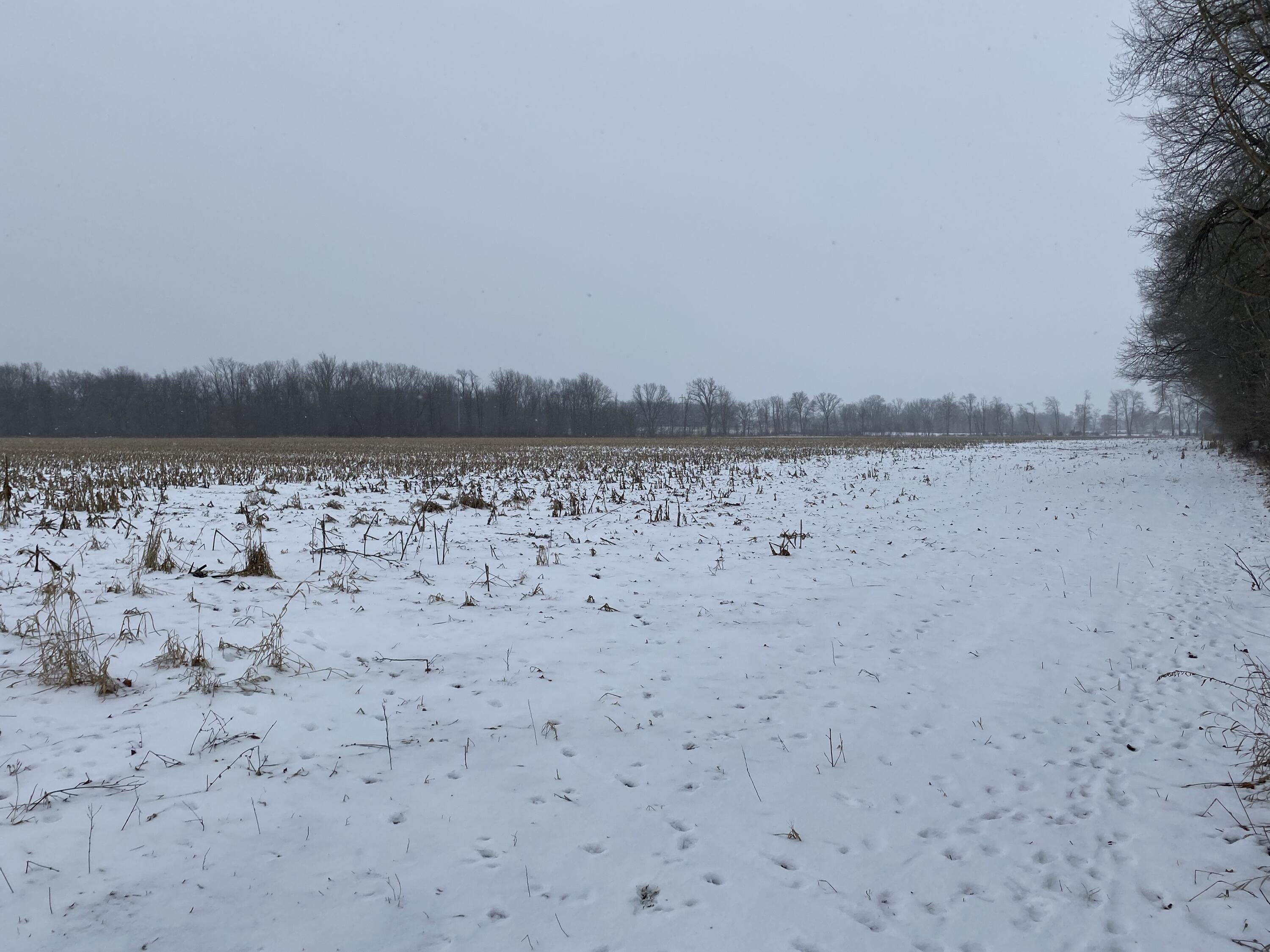 W Copeland Road unit: 2, Bronson, MI 49028 | MLS: 26002191 | Land.com