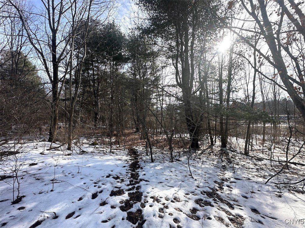Pigtail Road, Friendship, NY 14739 | MLS: S1659701 | Land.com