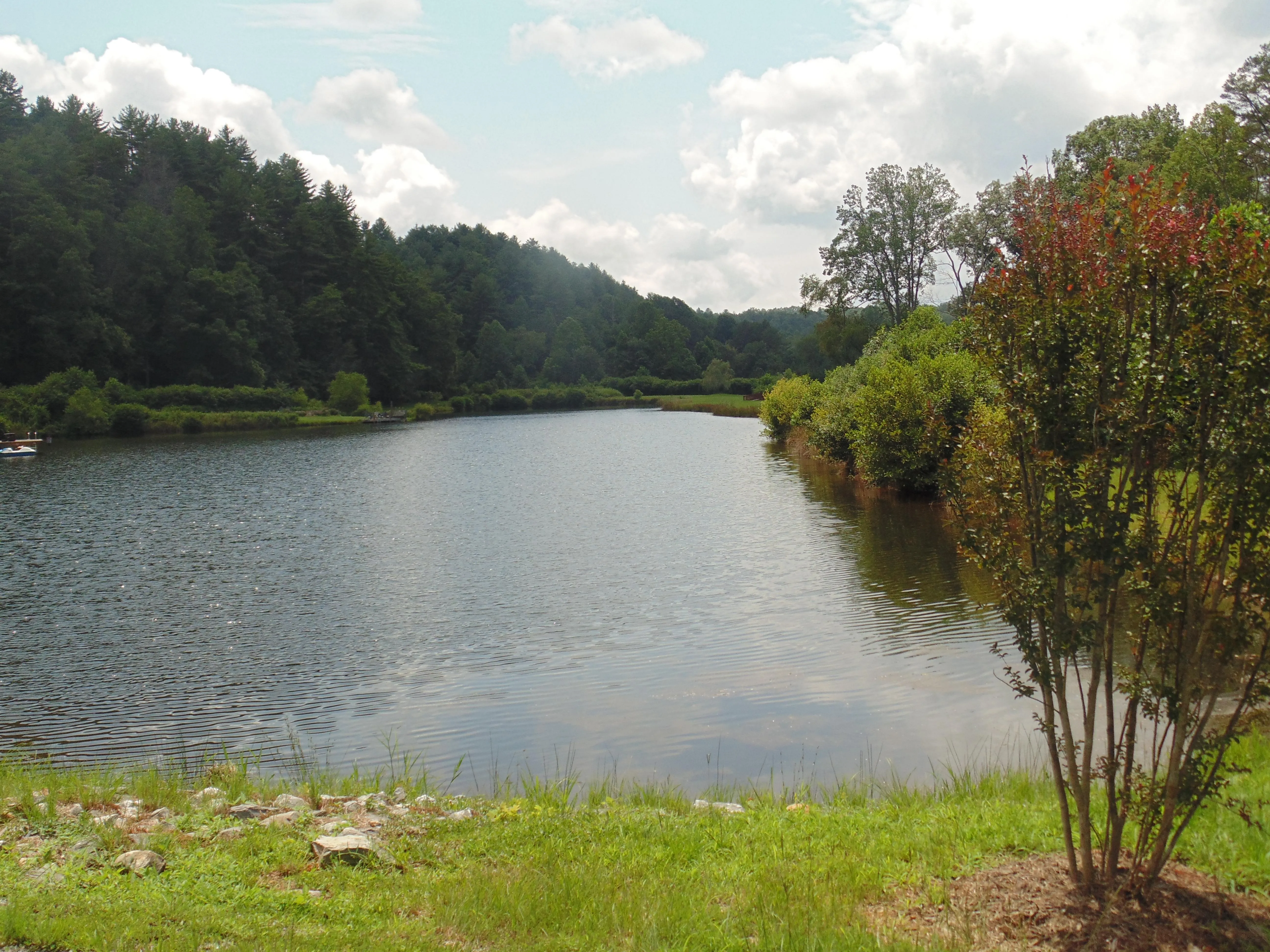 Land for Sale in Blue Ridge Mountains Georgia Region - 4,436 Properties ...